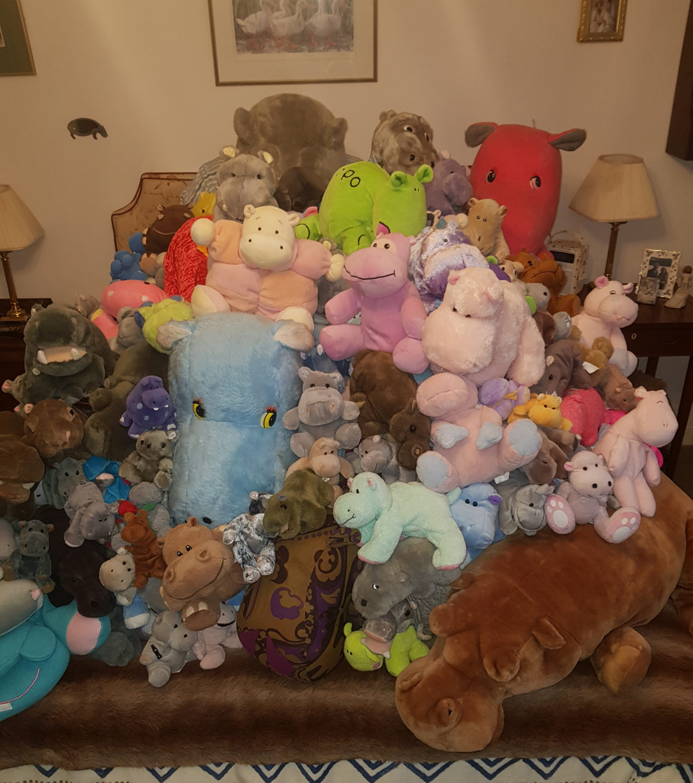 Alnwick collector sells off hippo-related toys and items - BBC News