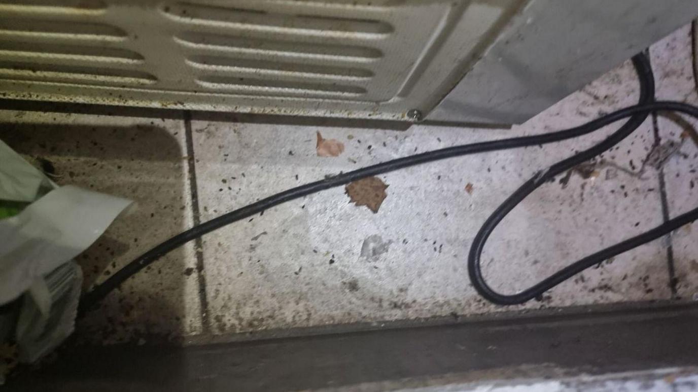 Slime, 'rancid' cheese and mice found in Wallasey restaurant - BBC News