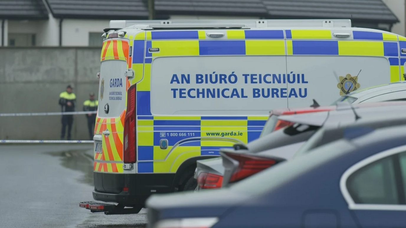 Offaly: Murder inquiry launched after child and woman die in fire - BBC ...