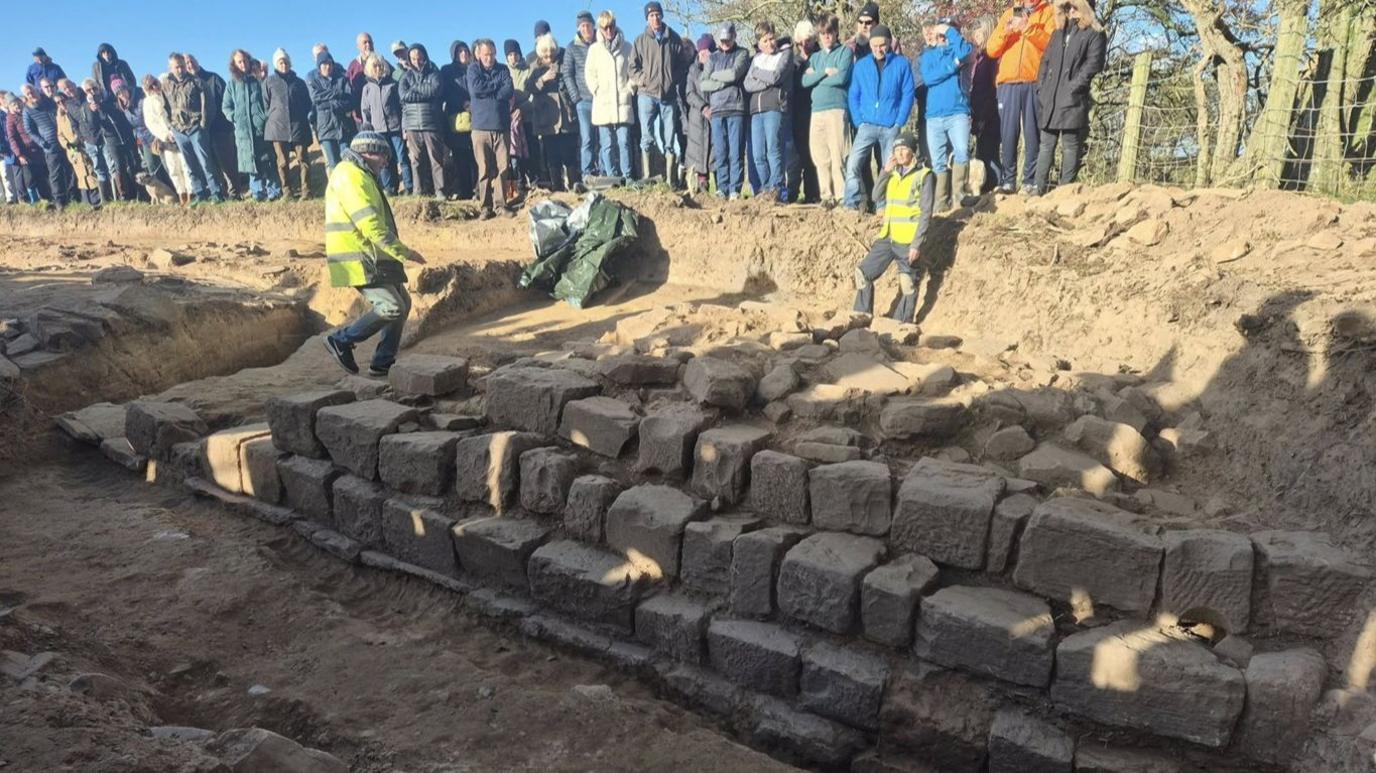 Hadrian's Wall area ranger to help restore natural habitats - BBC News