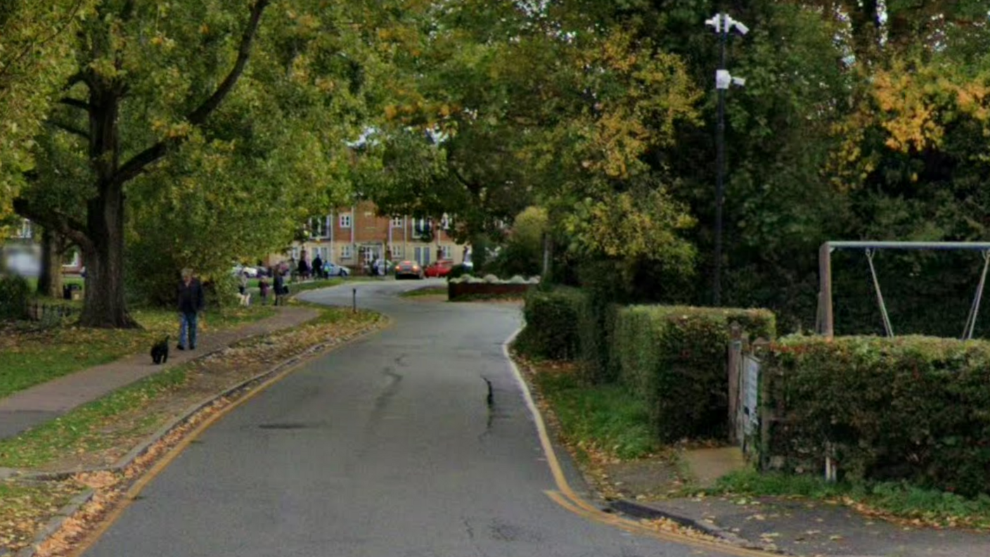 Theydon Bois: Tribute to dog walker who died in Epping crash - BBC News