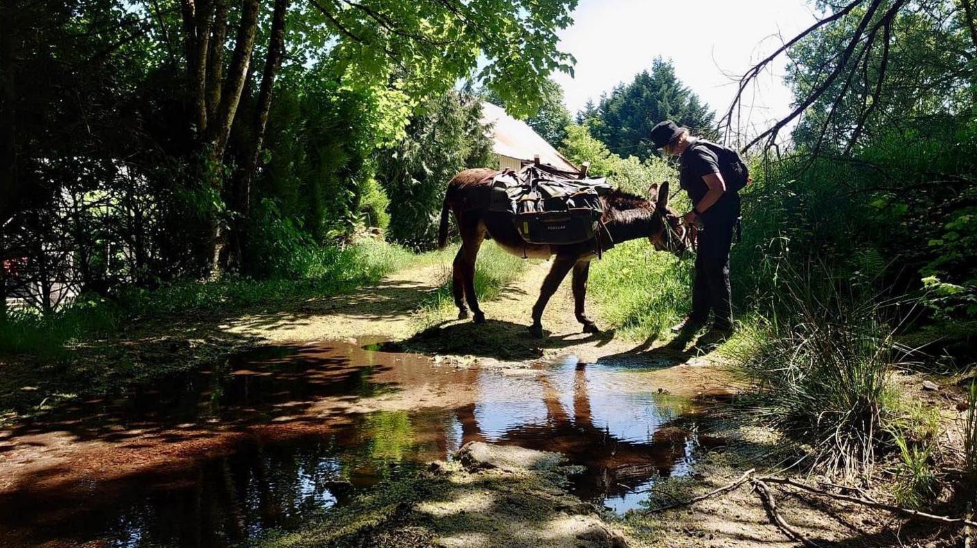 Tè à Leòdhas agus a taisteal le aiseal - Naidheachdan a' BhBC