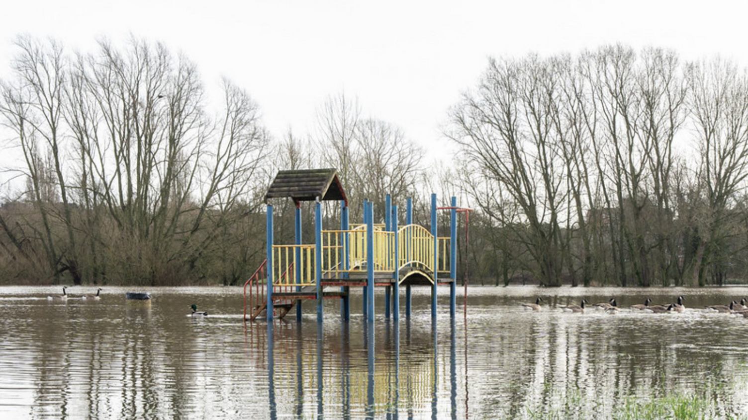 Flooding in Midlands after days of rain - BBC News