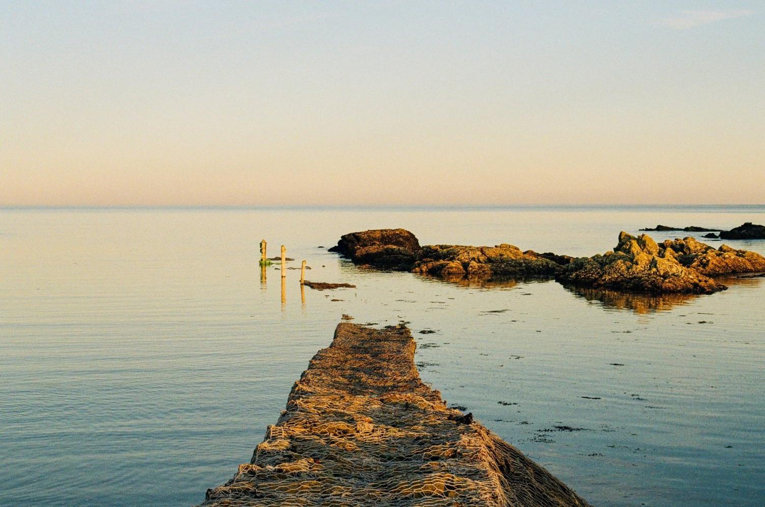 Lluniau: Dau wanwyn a dau haf ar Ynys Enlli - BBC Cymru Fyw