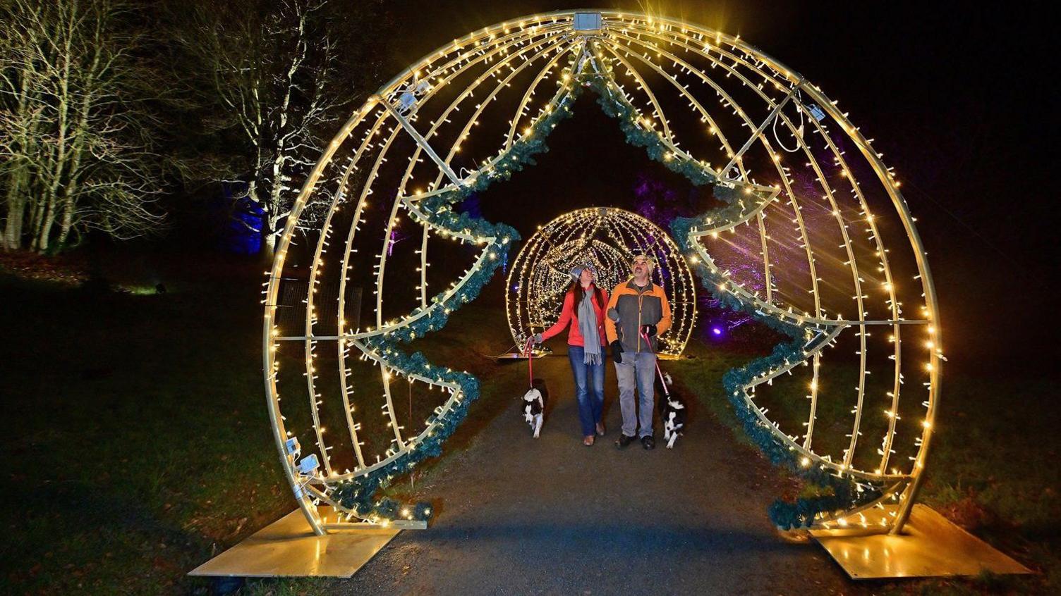 Christmas light trail in Kent forest delights visitors - BBC News