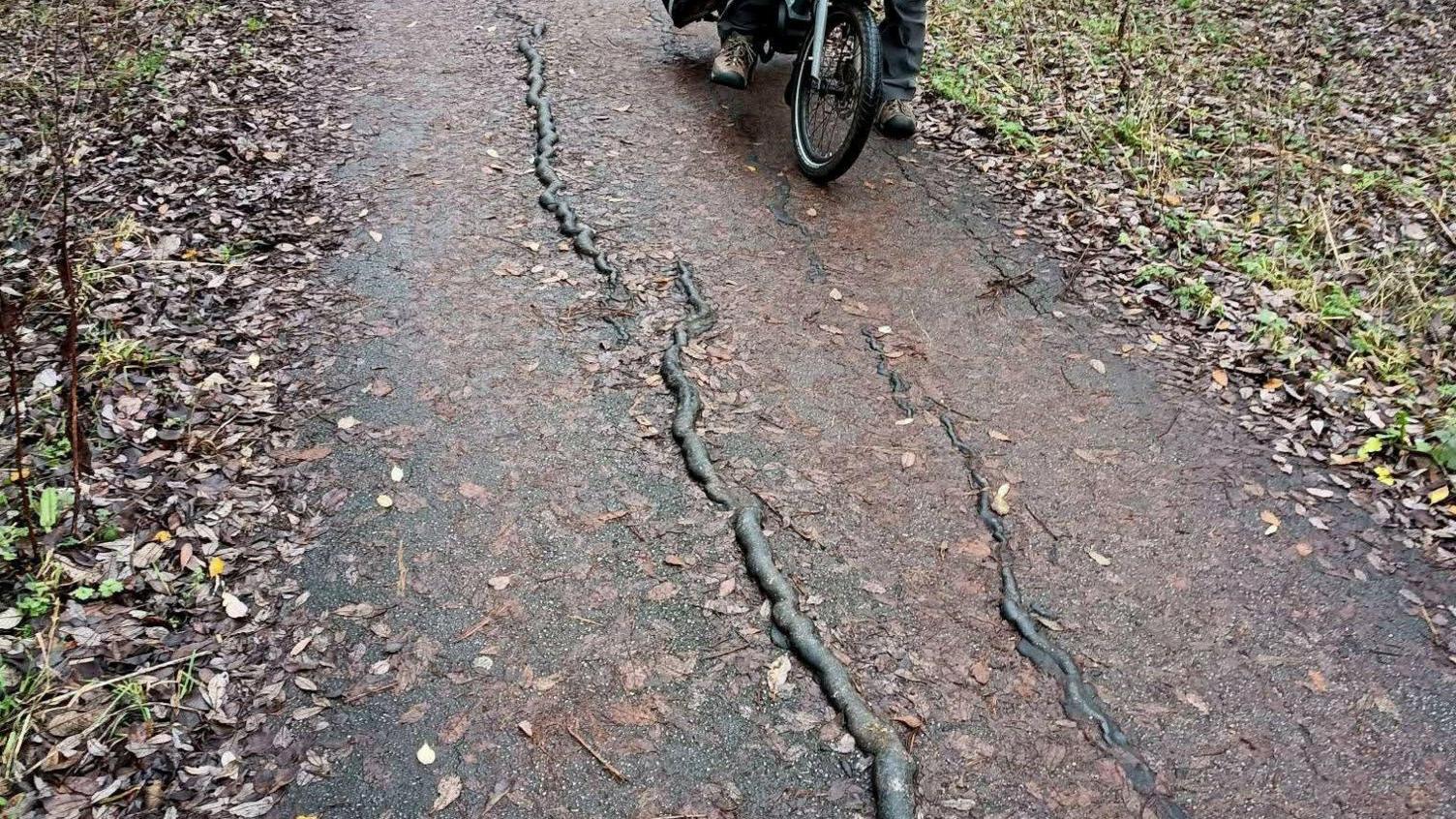 Repairs made as strange "sausage" forms on York bike path - BBC News
