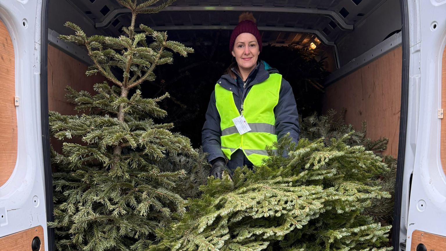Record sums for West Midlands Christmas tree recycling schemes - BBC News