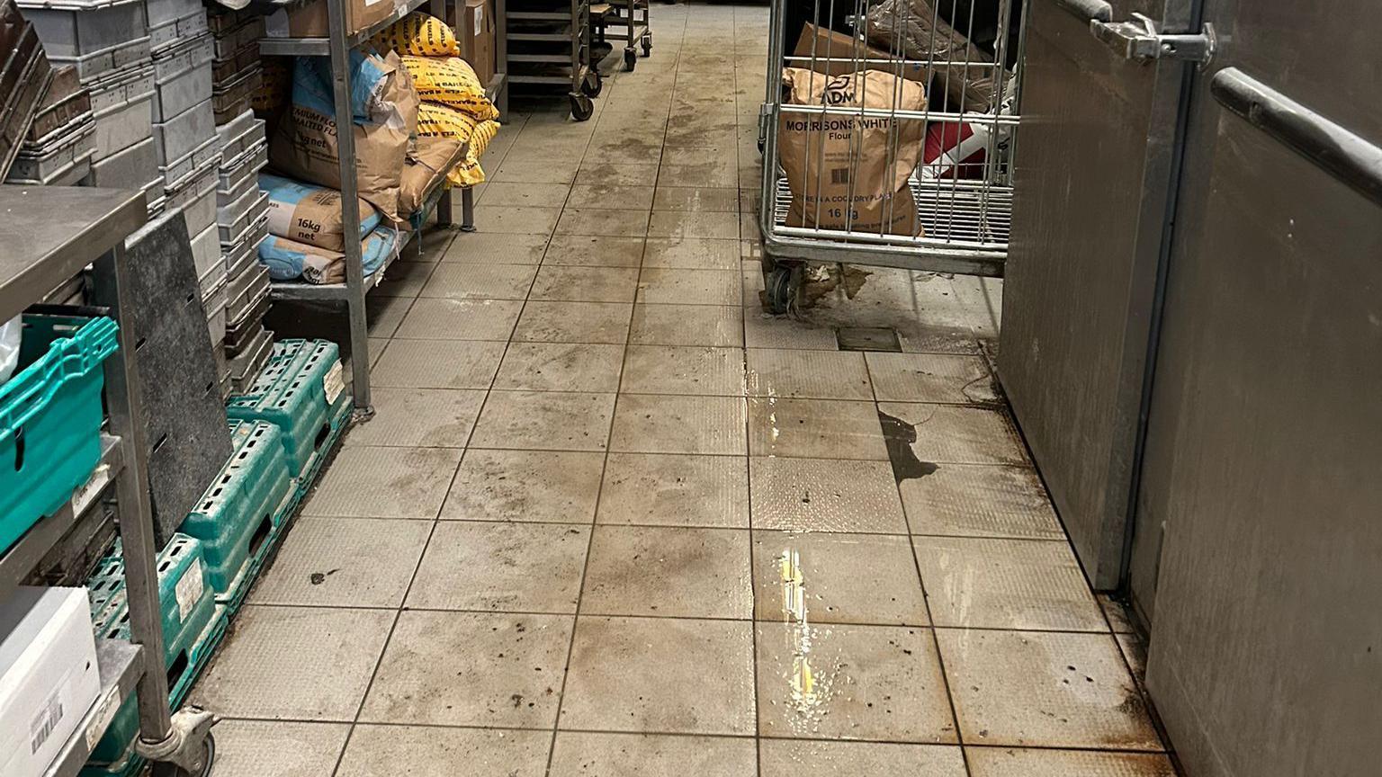 Cwmbran's Morrisons supermarket fined £750k for dirty bakery - BBC News