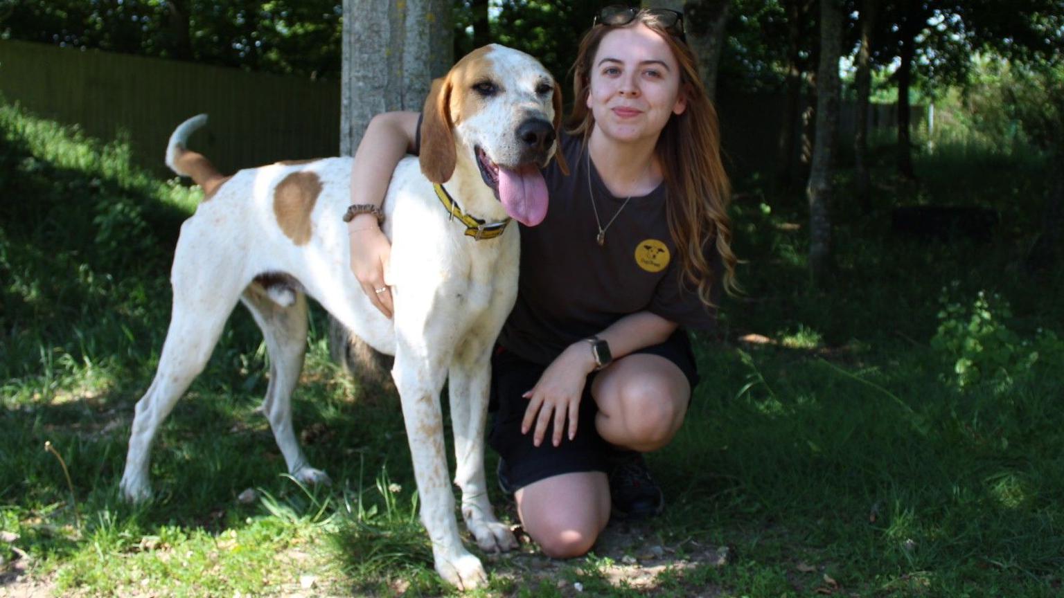 Why 'underdogs' struggle to find forever homes - BBC News