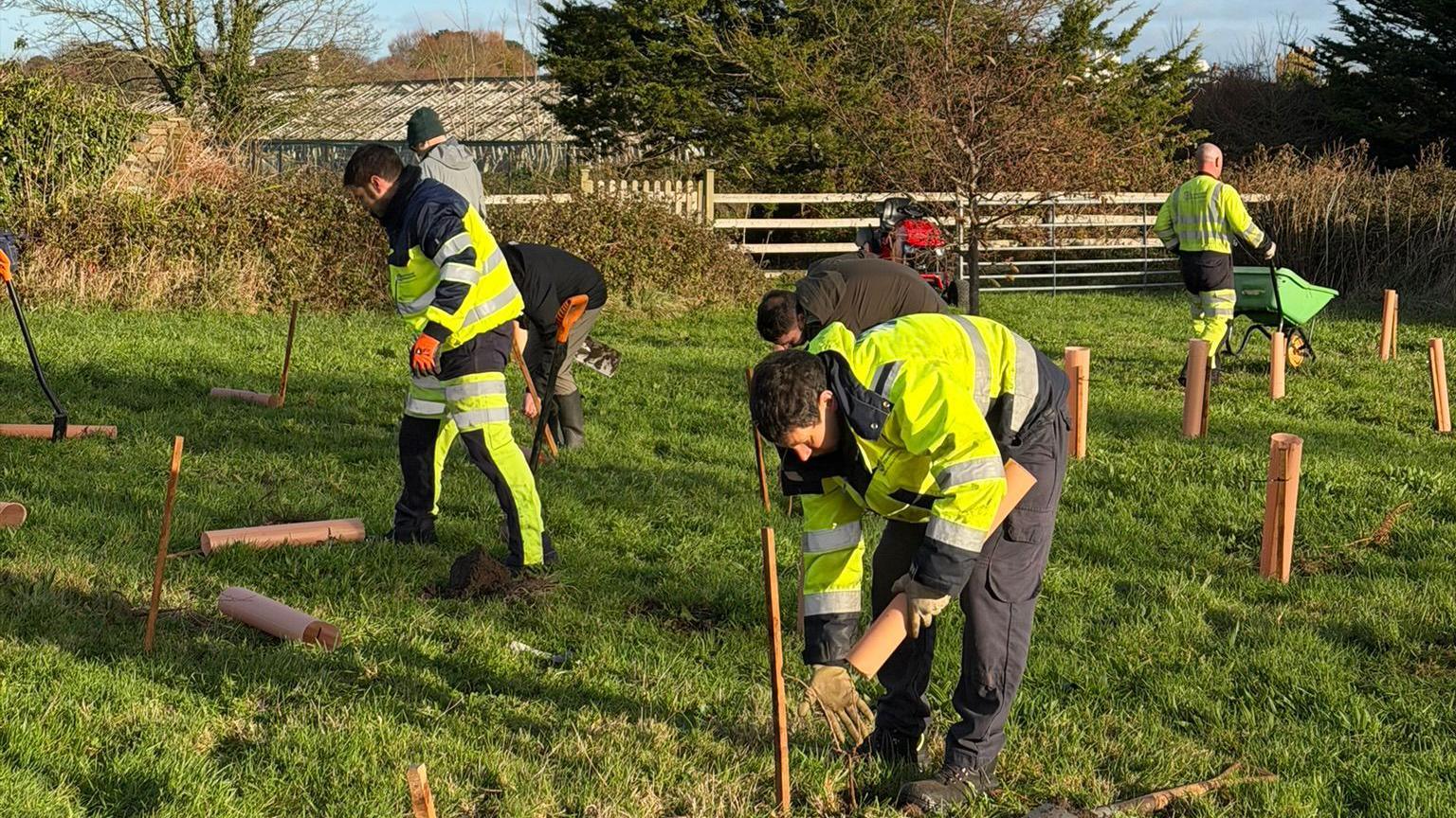 New trees planted for Guernsey Electricity's 125th anniversary - BBC News