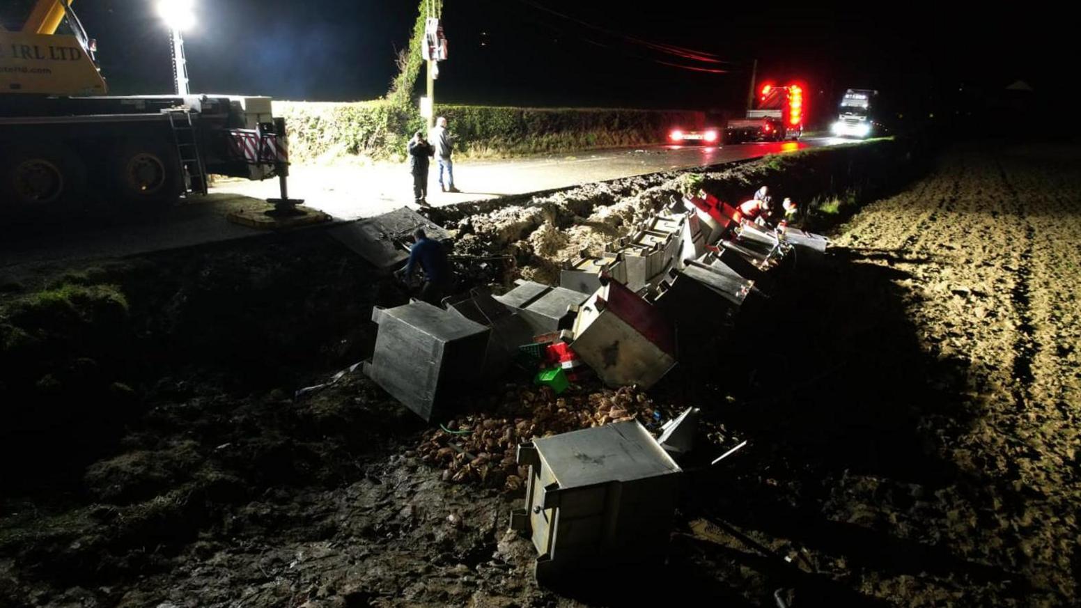 Donegal: 15,000 crabs recovered after lorry tips in Inishowen field ...