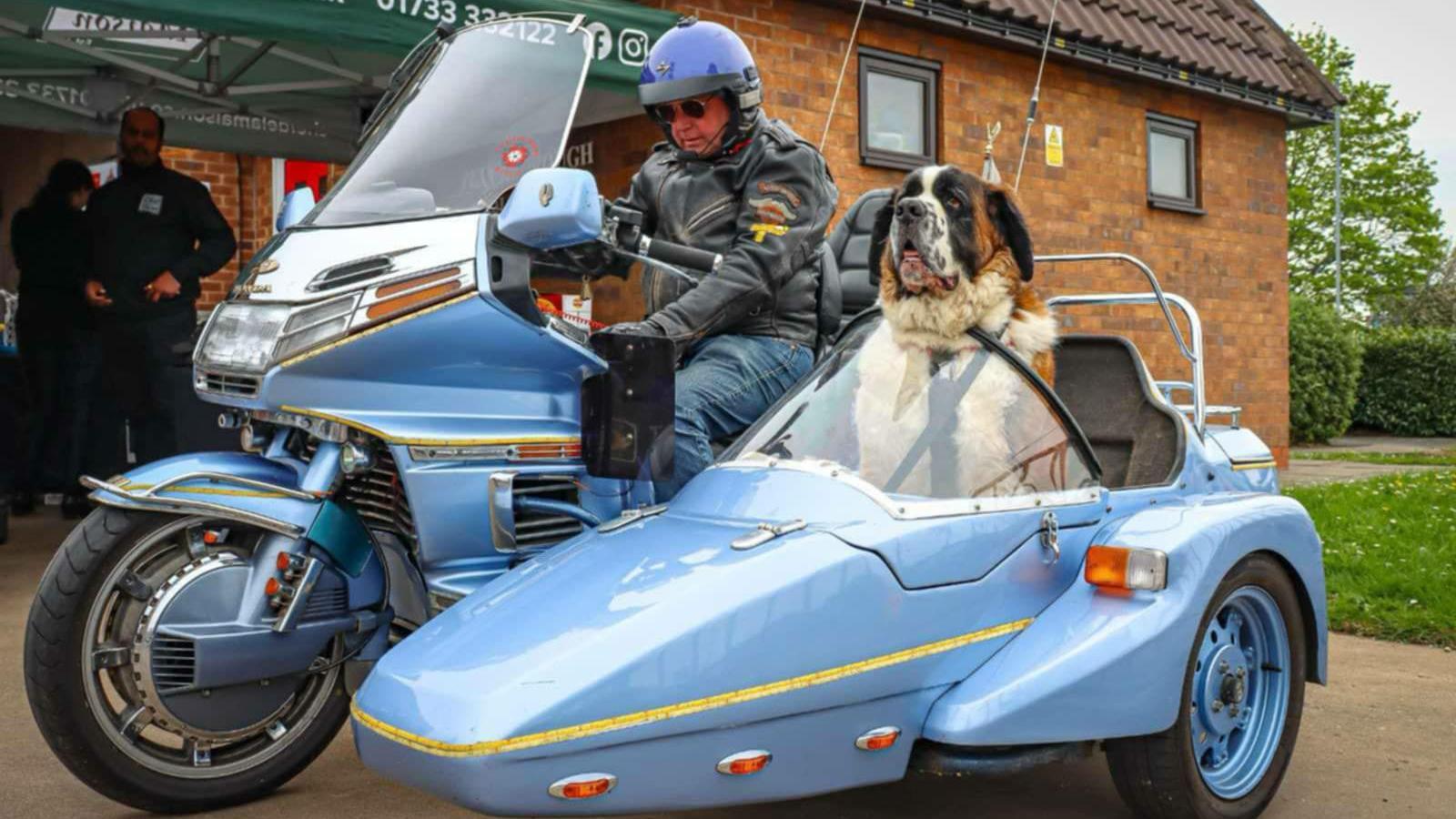 The sidecar-riding dog making people smile - BBC Newsround