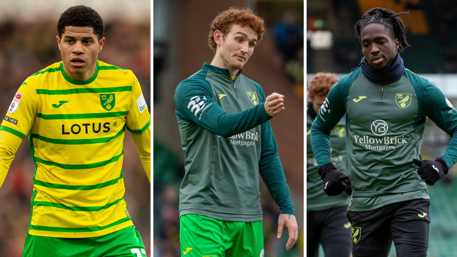 Opinion: Why Norwich City are the Championship’s sharpest shooters ...