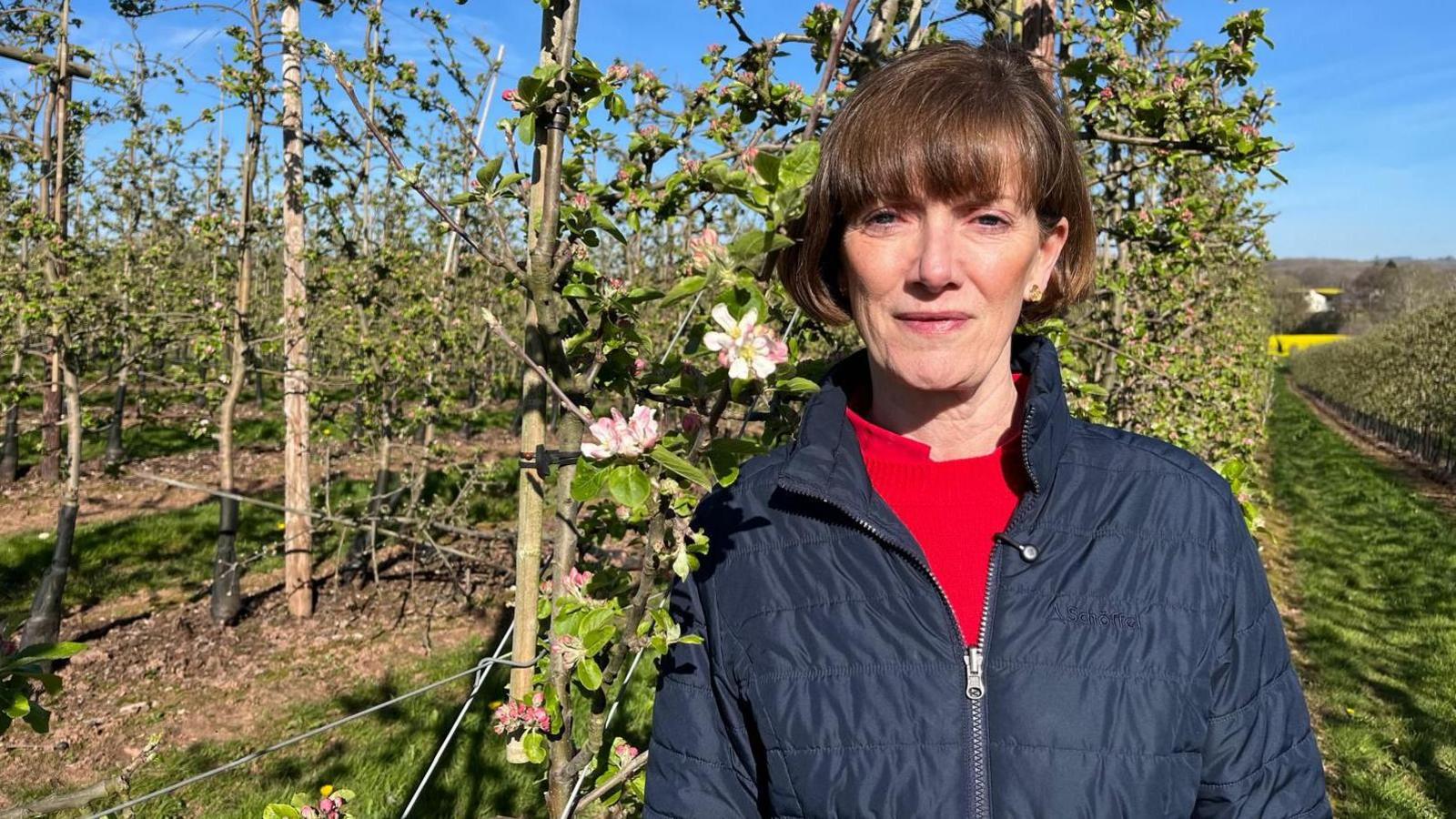 UK farmers warn Iran ceasefire too late to stop higher food costs - BBC ...