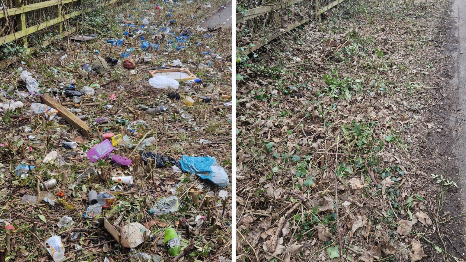 Peterborough litter picks to encourage proper disposal of waste - BBC News