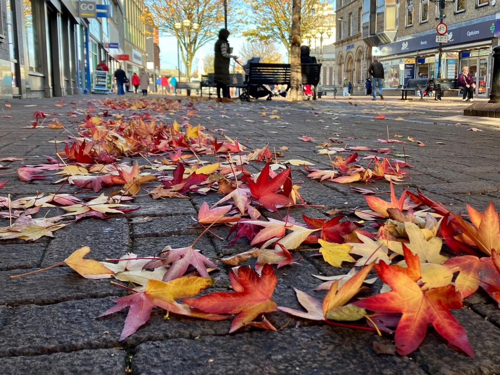 Cumbria bids farewell to autumn with Weather Watchers gallery - BBC News