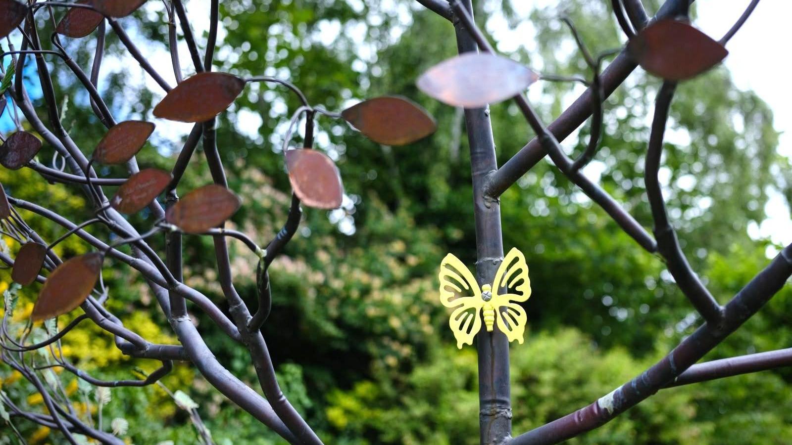 Bereaved mum's fears for Dundee baby memorial tree - BBC News
