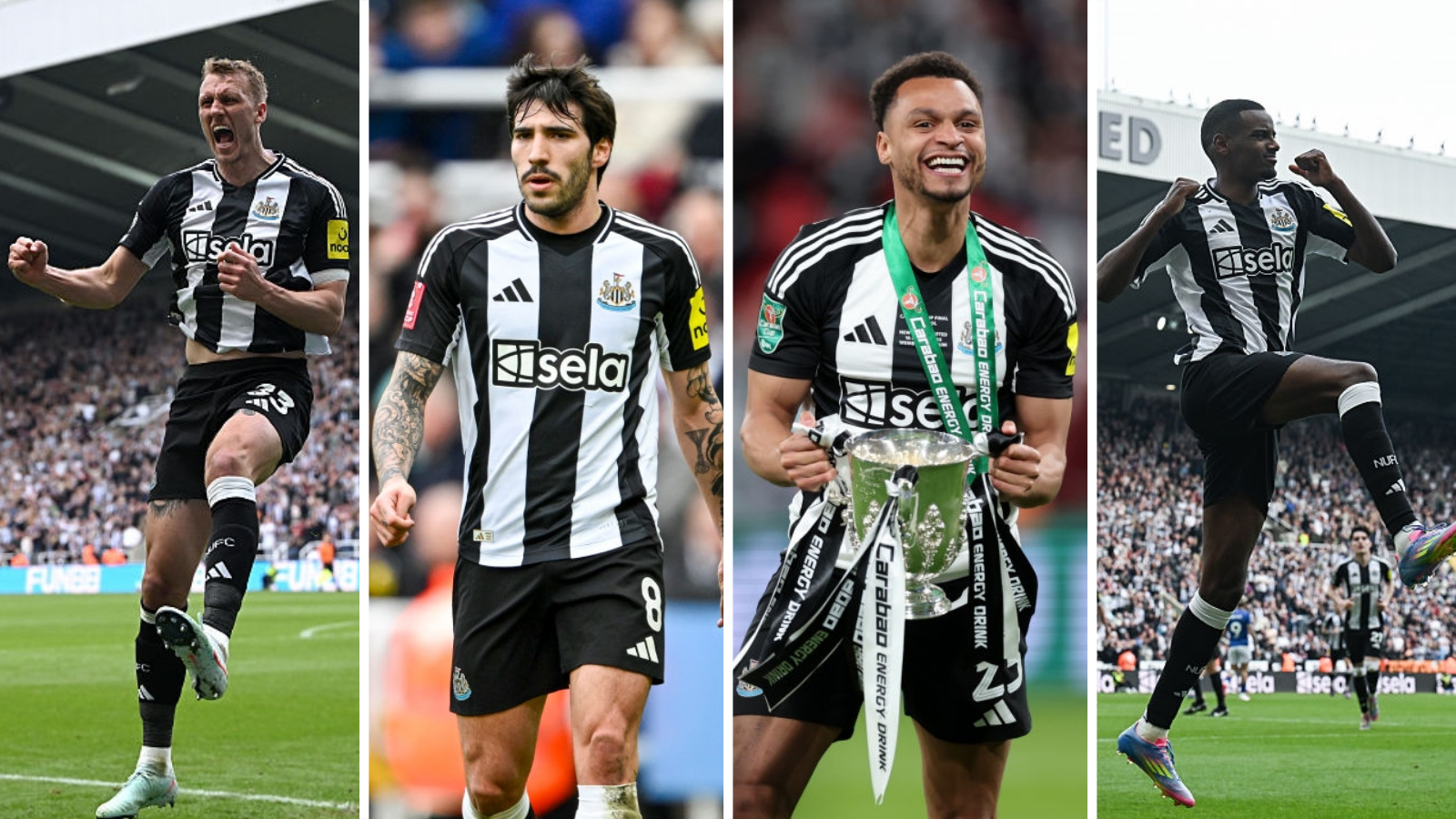 Newcastle player of the season 2024-25: Choose now - BBC Sport