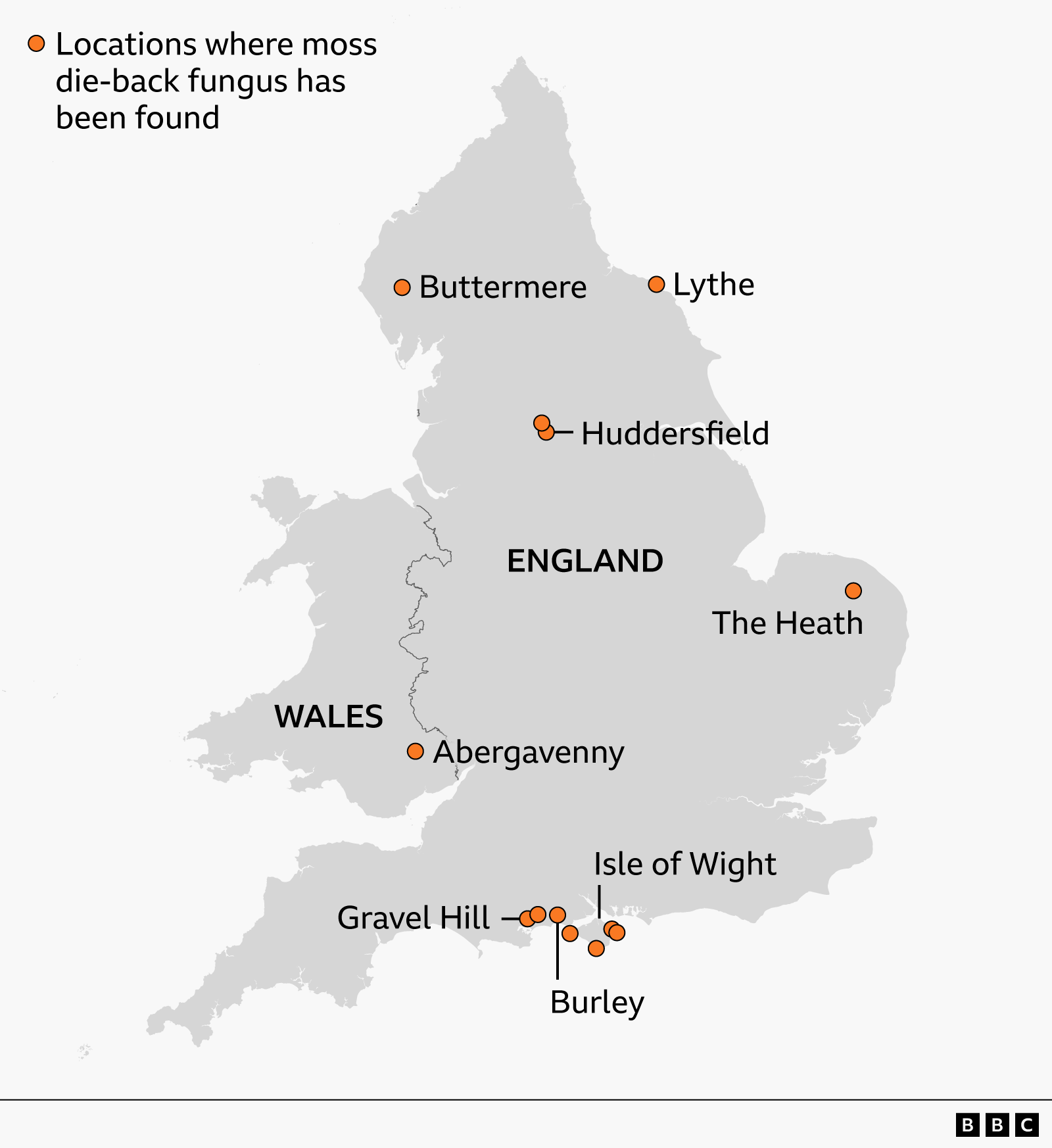 Killer fungus discovered that destroys UK invasive plant - BBC News
