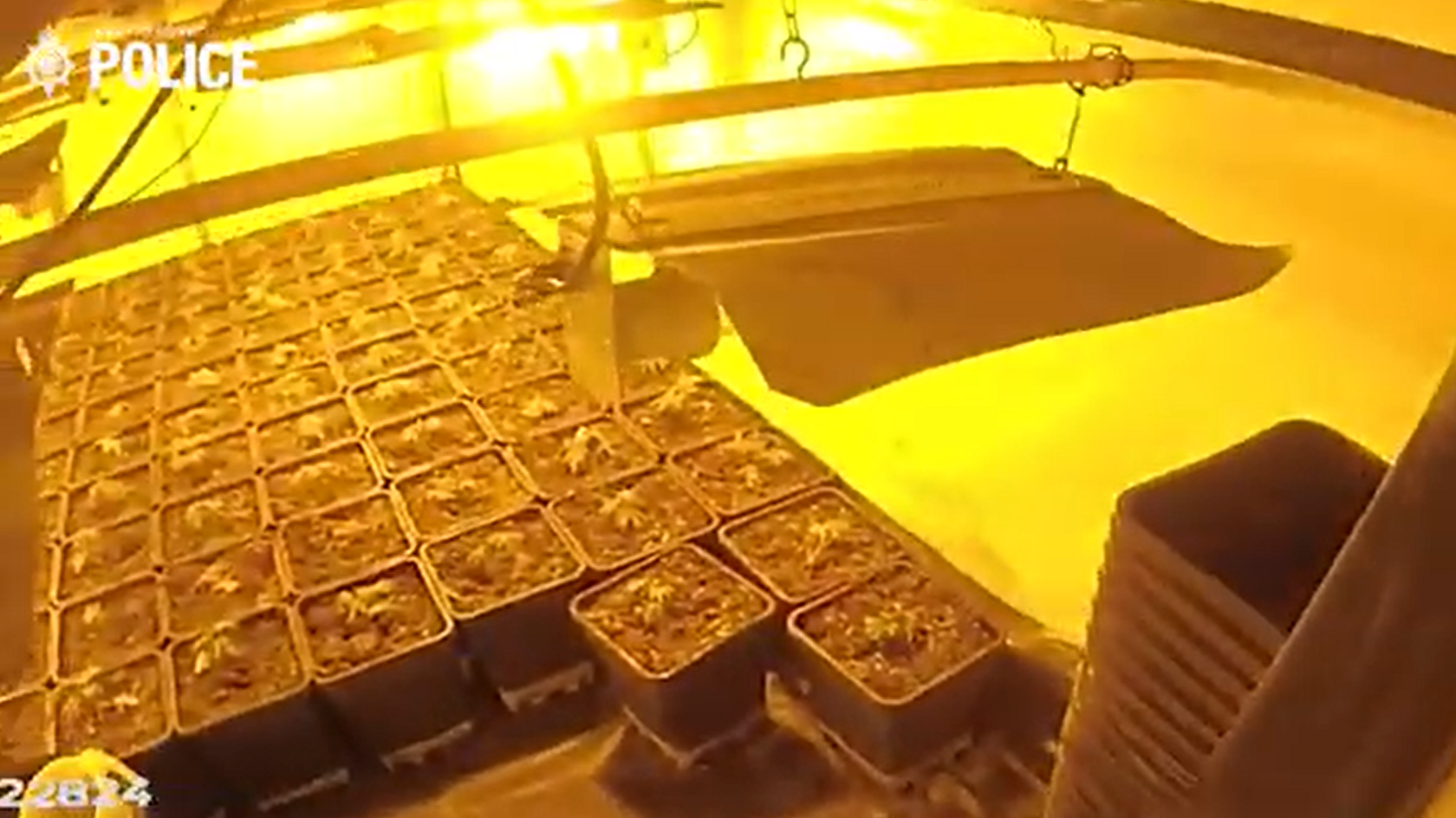 Four arrested as police raid three cannabis farms in Doncaster - BBC News