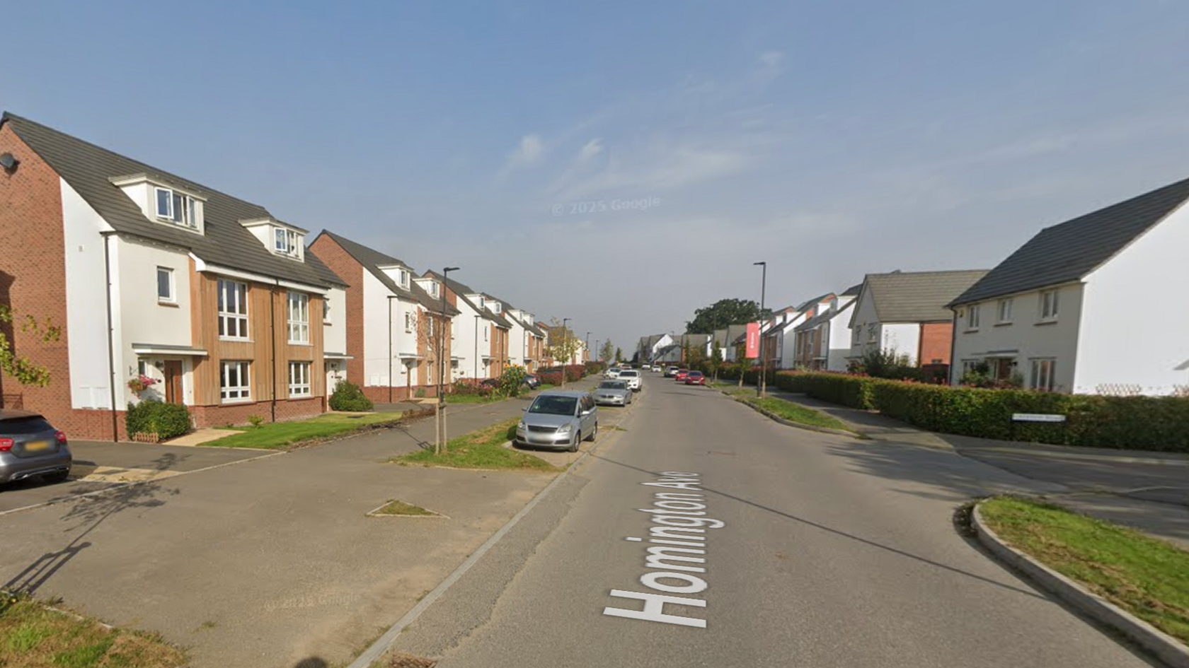 Toddler bitten in the face during Swindon dog attack - BBC News