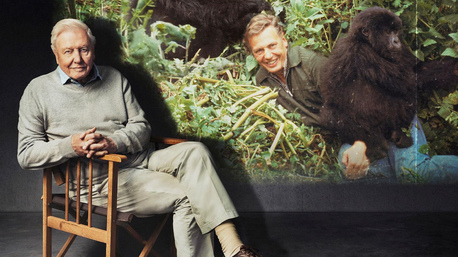 Attenborough at 100: The region where Sir David 'learned to love ...