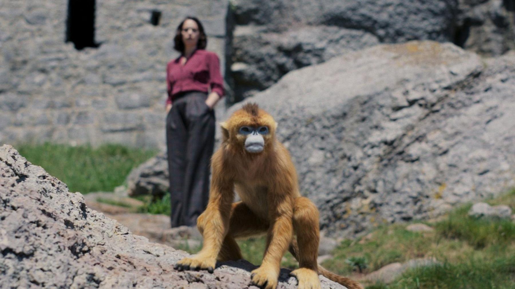 St Govan's Chapel: The tiny Pembrokeshire chapel rooted in myth - BBC News