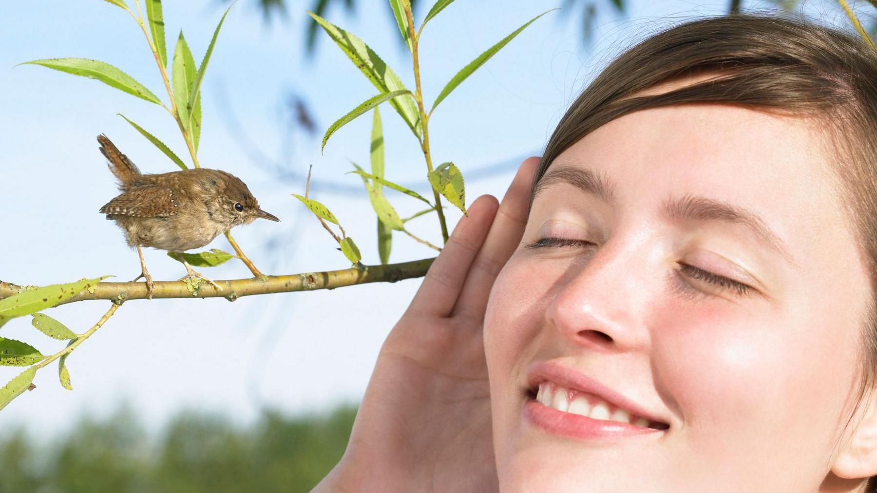 Scientist finds sounds of nature help commuters relax - BBC Newsround