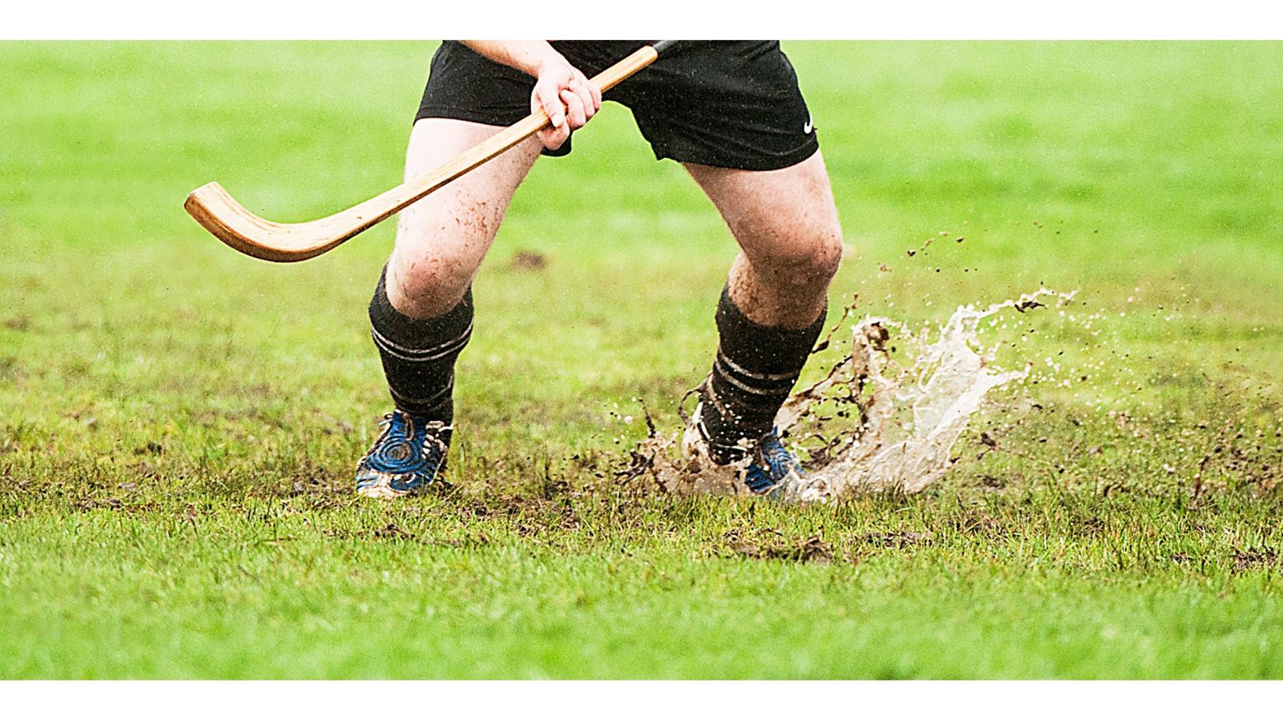 Shinty to revert to 10-team Orion Premiership for 2015 - BBC Sport