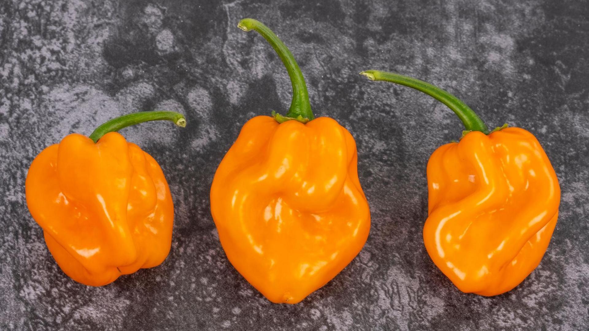 Caribbean hot sauce producers warn of shortages and higher prices - BBC ...