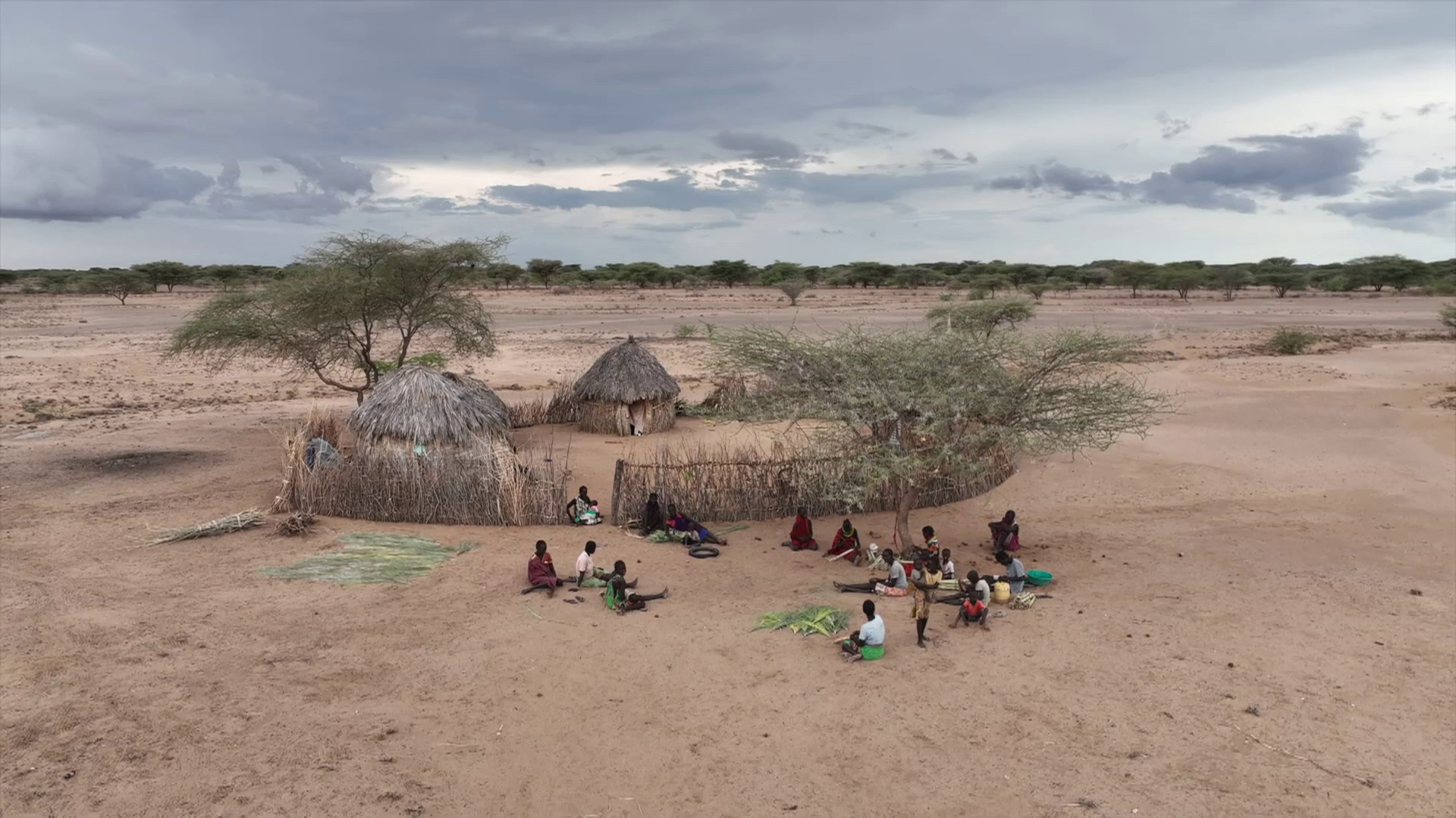 Kenya food crisis: Desperate people turn to the gingerbread tree in ...