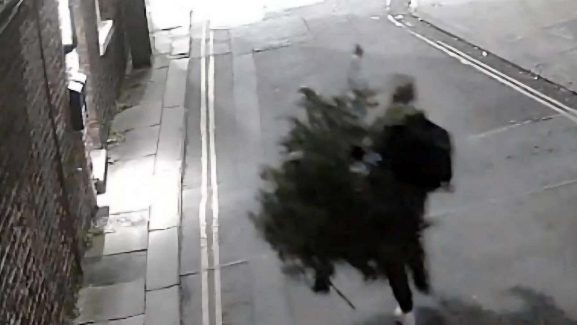 CCTV captures 'Grinch' stealing Christmas tree in Boston - BBC News