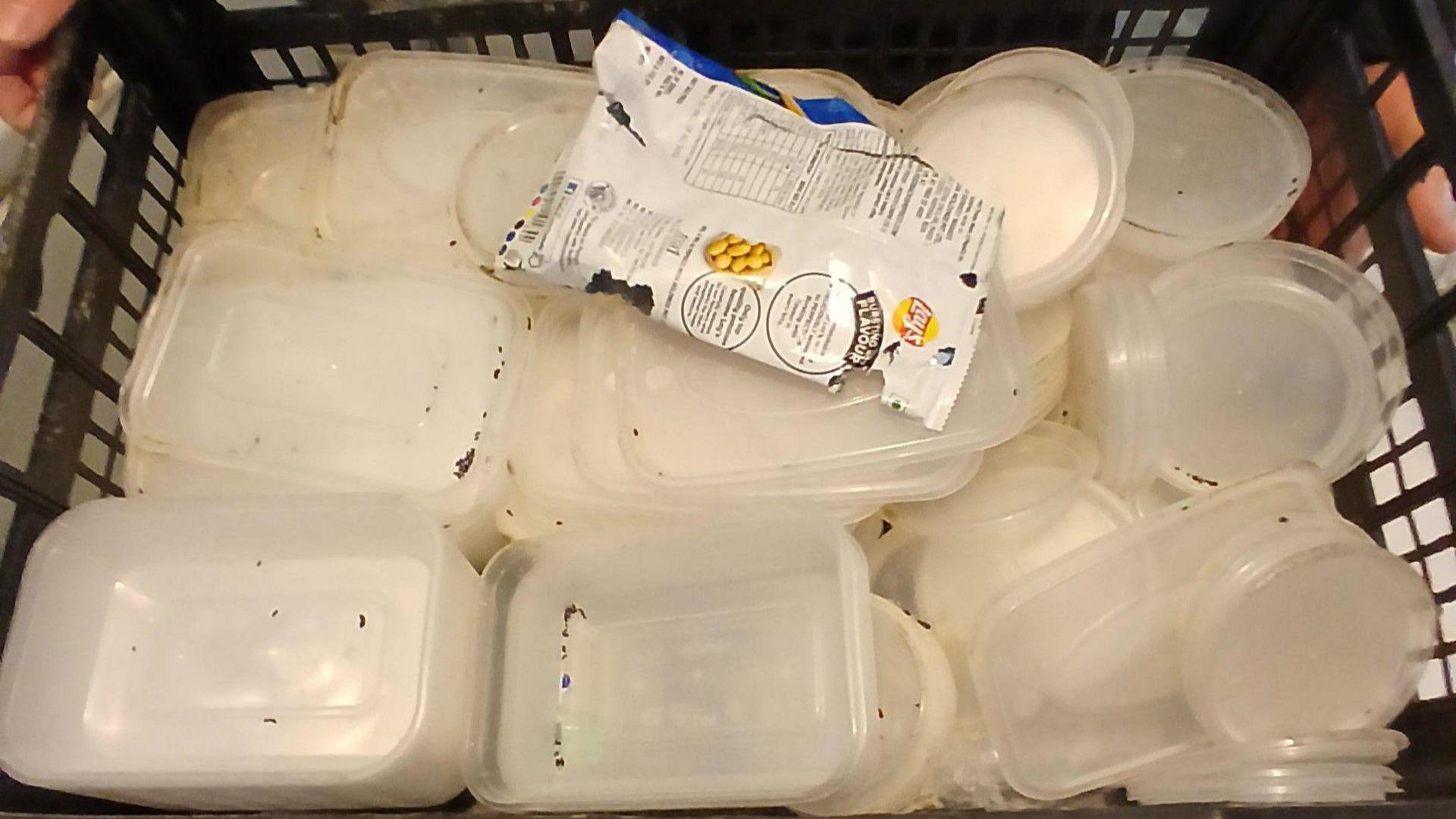 Dead mouse and droppings found at Cardiff takeaway and restaurant - BBC ...