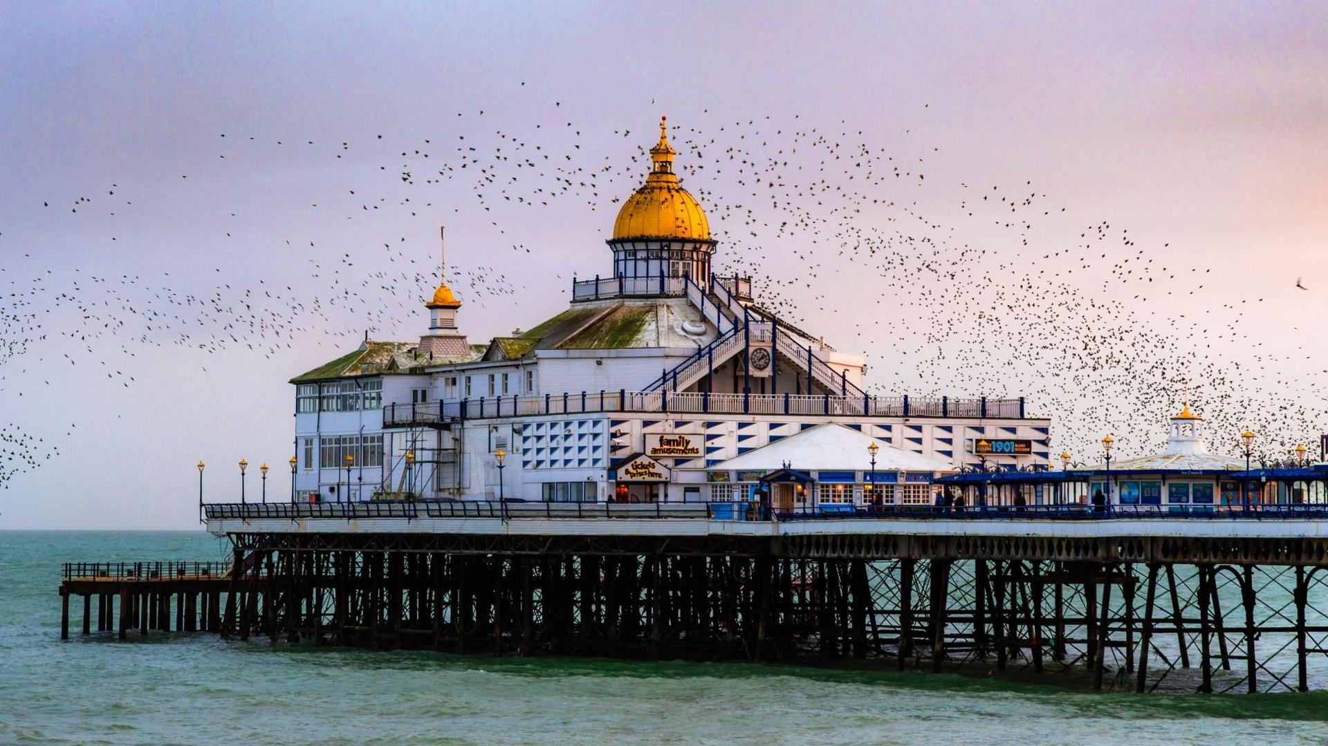 MP Josh Babarinde launches campaign to 'protect' Eastbourne Pier - BBC News