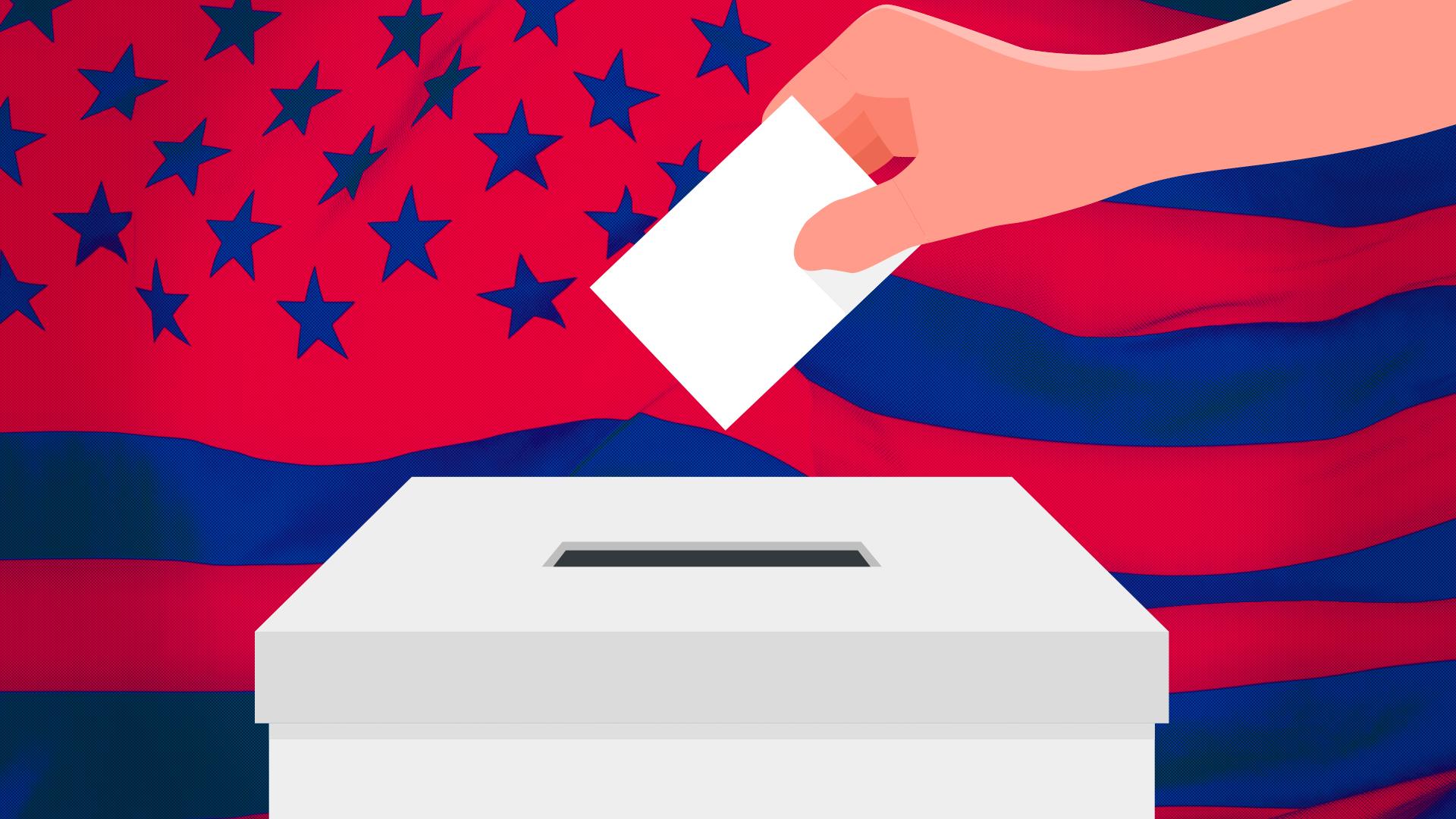US election: Put the politics on paws! - BBC Newsround
