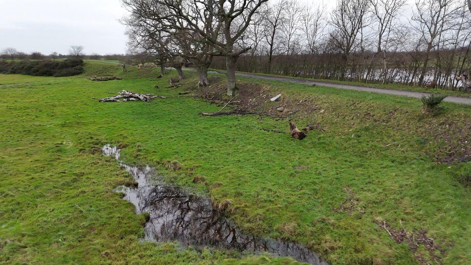 Toxic waste pollution at Demesne Marsh in Cumbria, tests suggest - BBC News