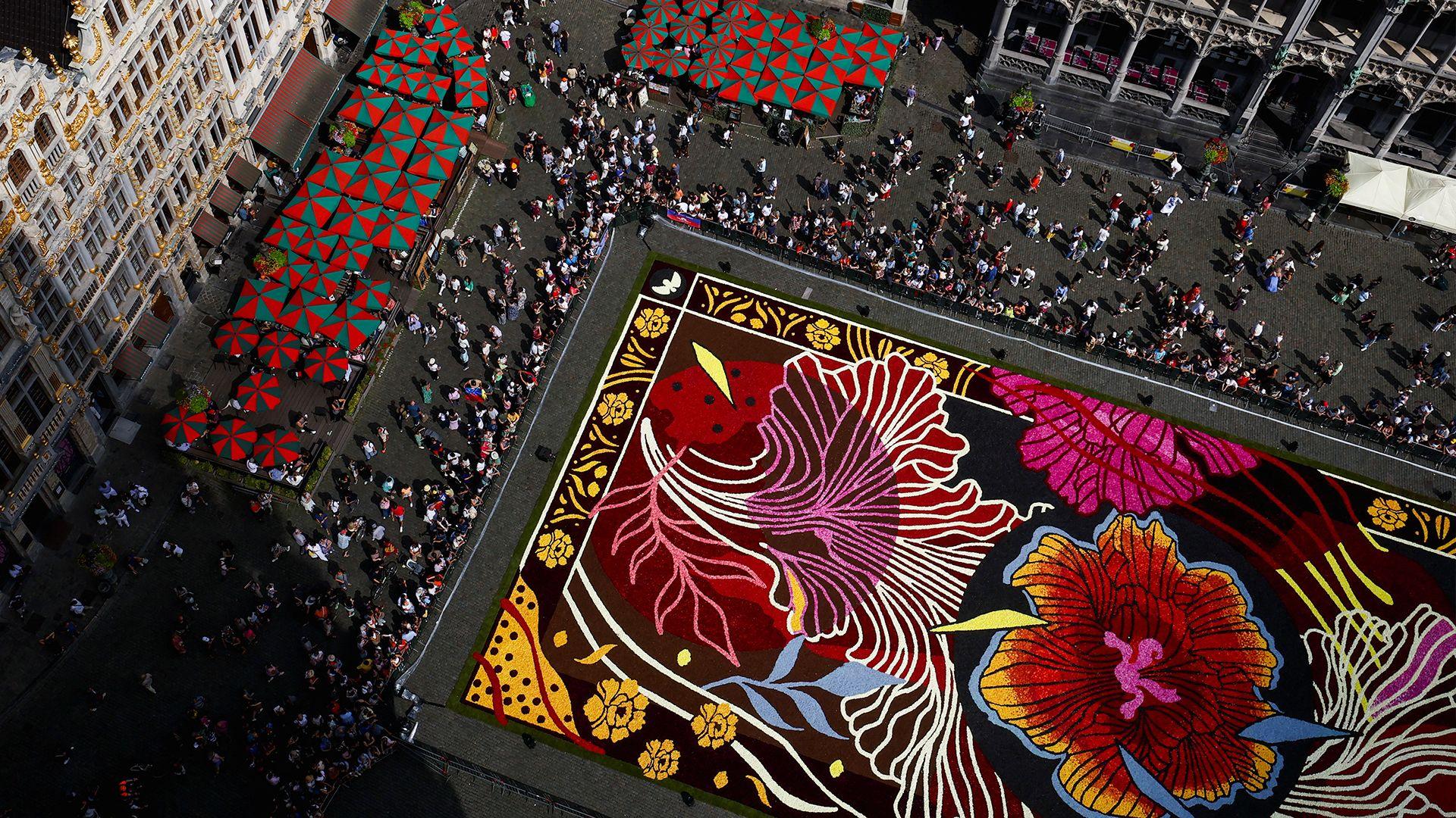 Brussels Flower Carpet 2024: Display takes over historic square - BBC ...
