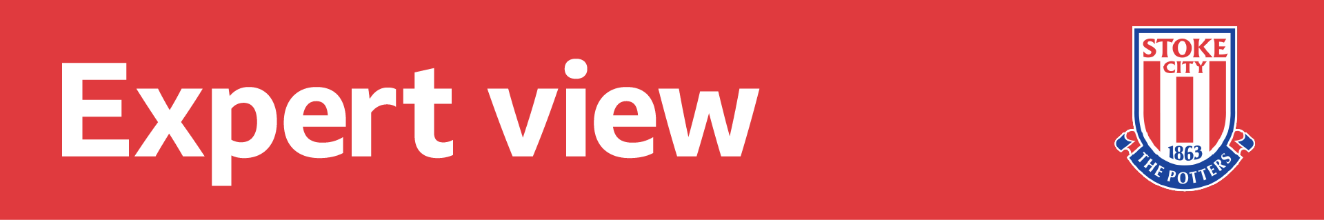 Stoke City: Gabriel Sutton on players who could be targeted - BBC Sport