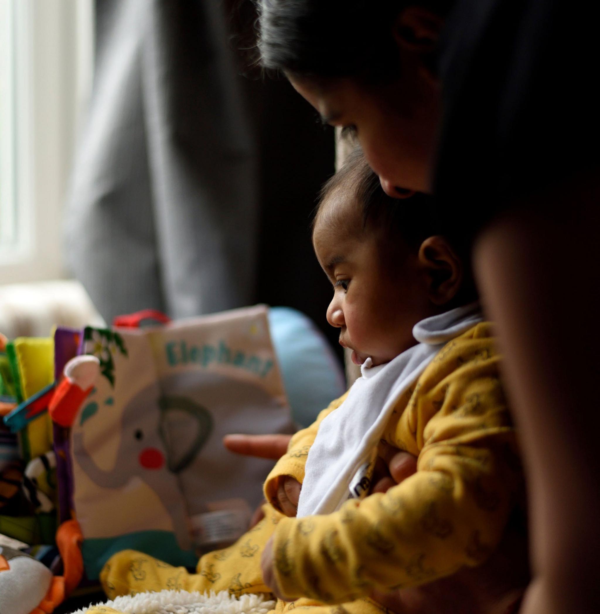 Your pictures on the theme of 'reading' - BBC News