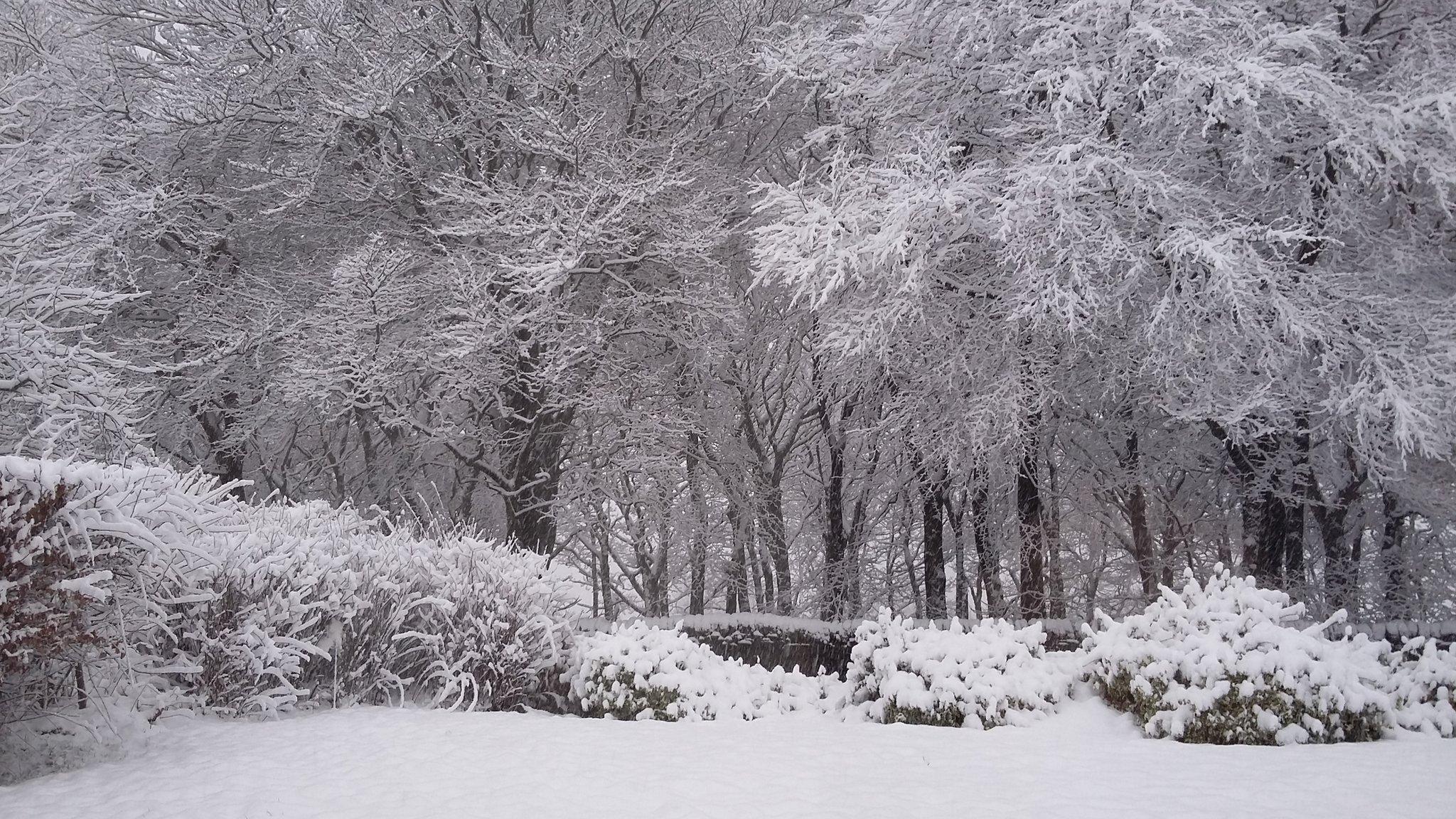 Heavy snow affects travel in the north of England - BBC News