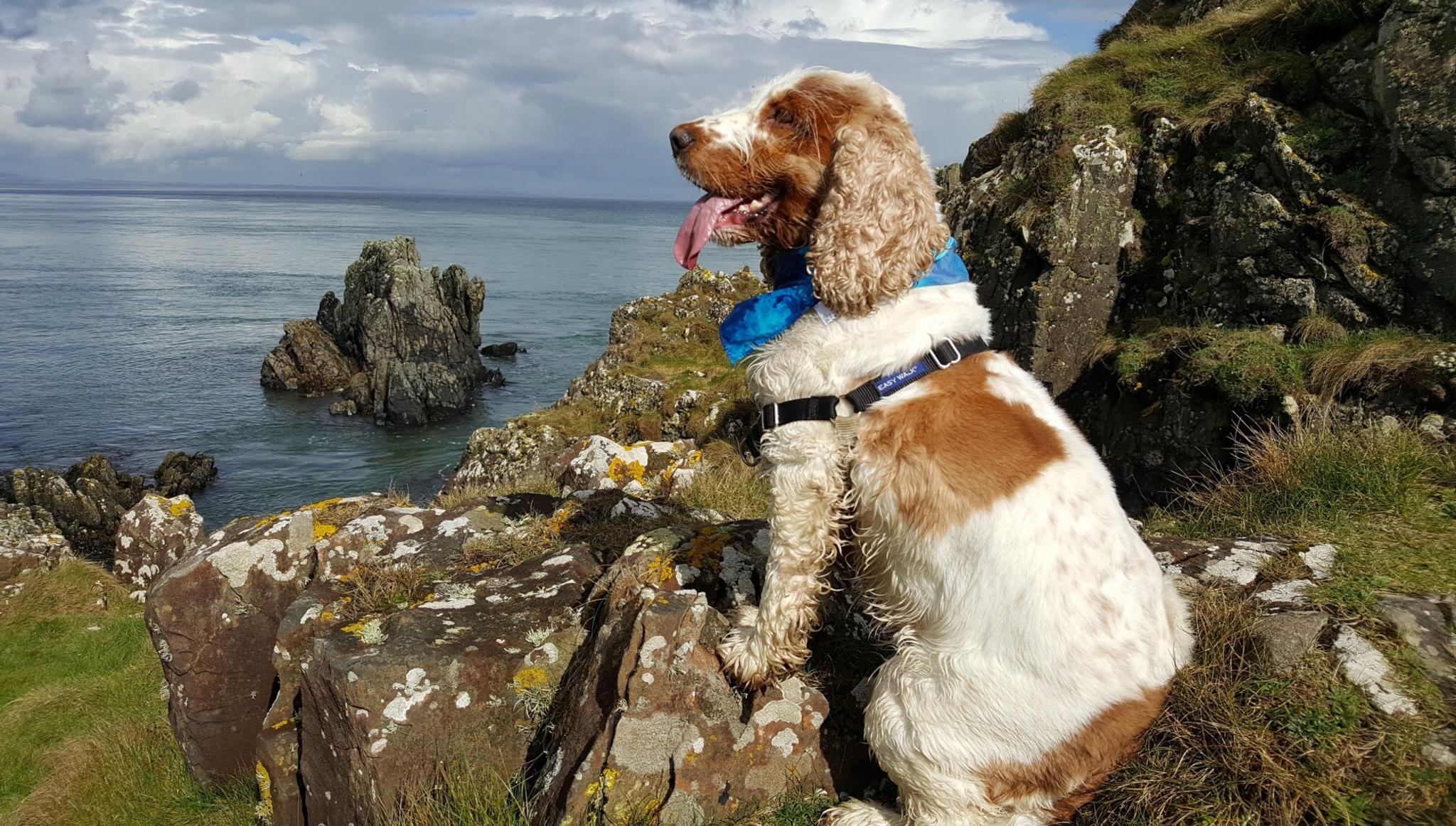Your pictures of Scotland: 19 - 26 May - BBC News