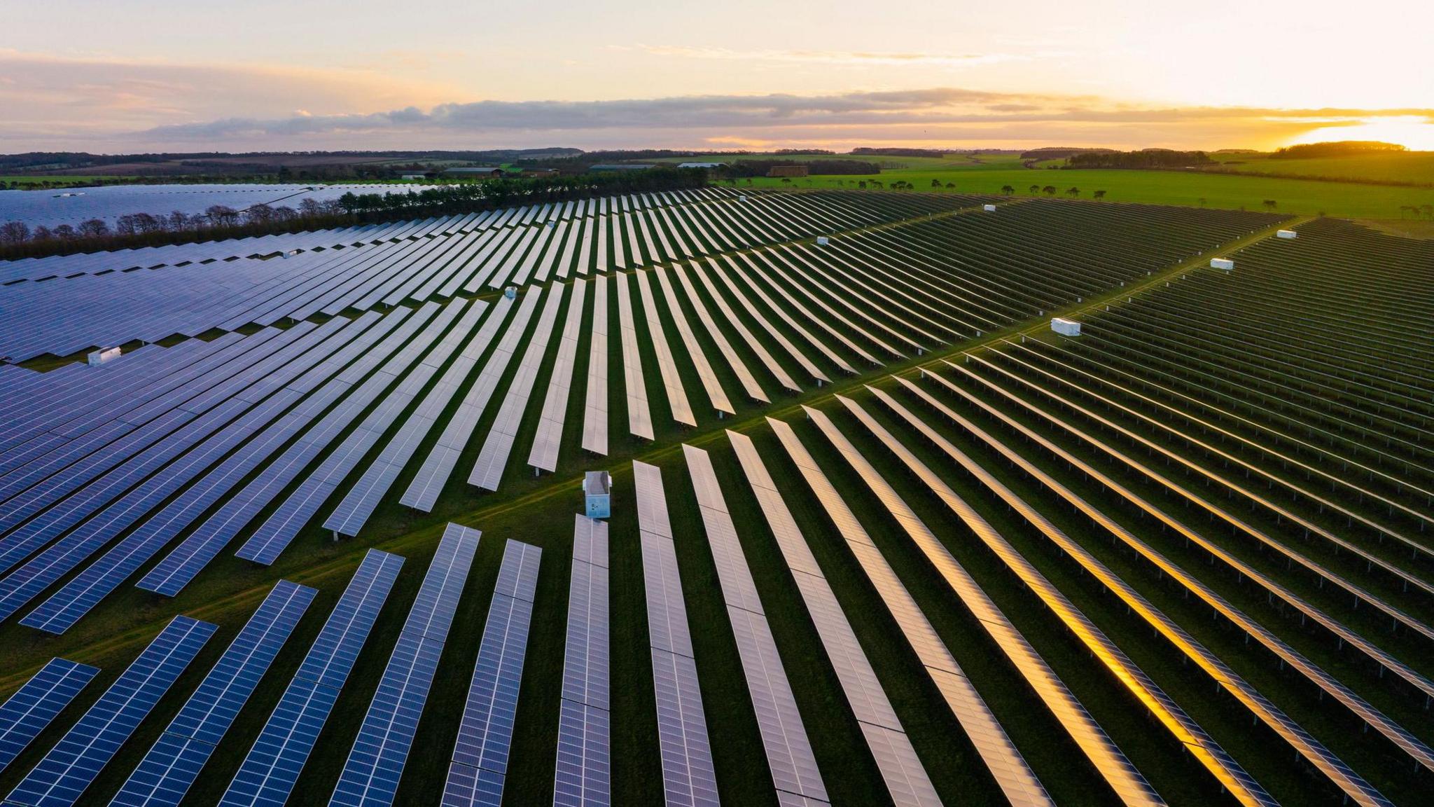 Campaigners to challenge Selby solar farm plans in High Court - BBC News