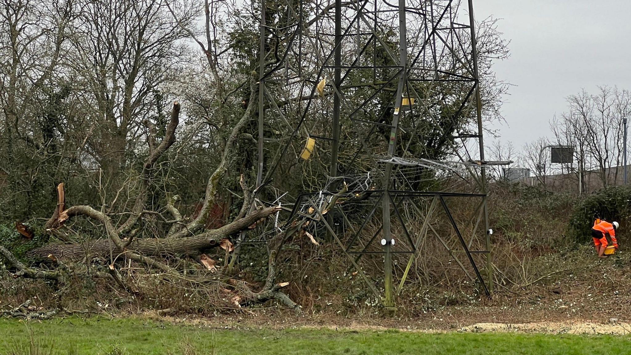 M4 in Berkshire reopens after tree hits electricity pylon - BBC News