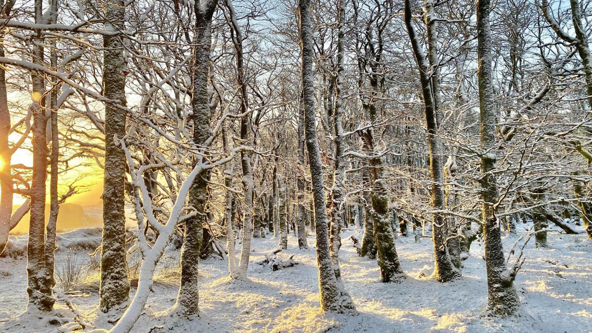 New ice warning for Cornwall as snow falls across South West - BBC News