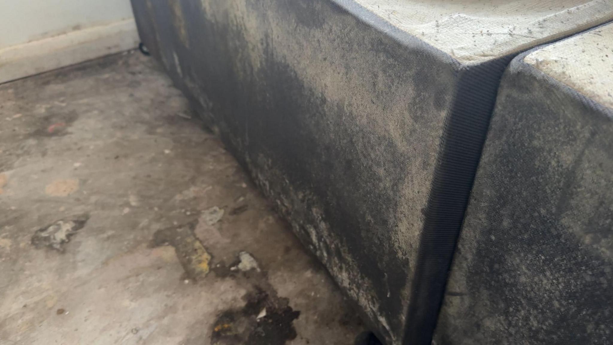 Woman says 'disgusting' mould ruined family photos and belongings - BBC ...