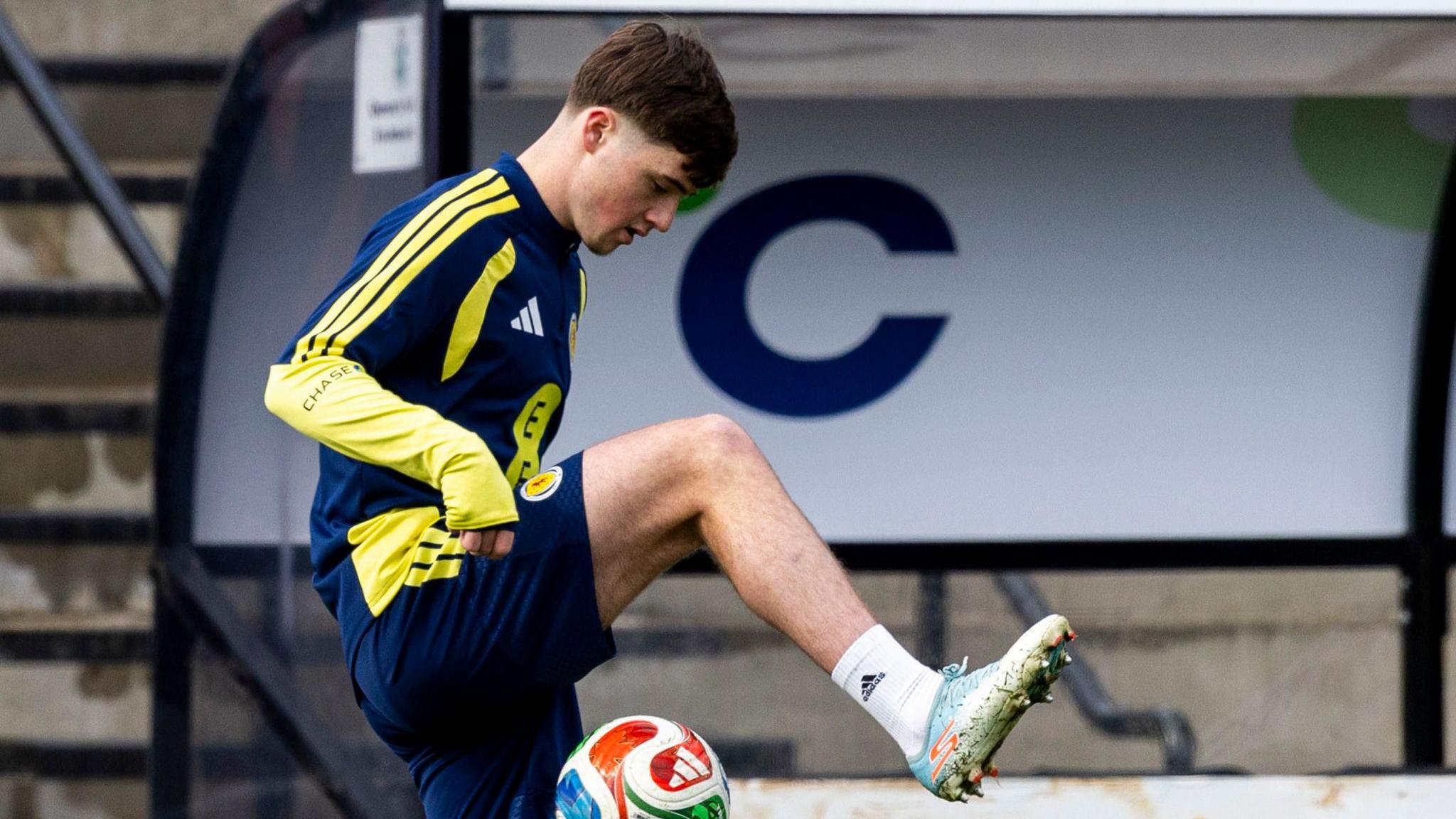 Findlay Curtis offers 'something different' for Scotland - BBC Sport