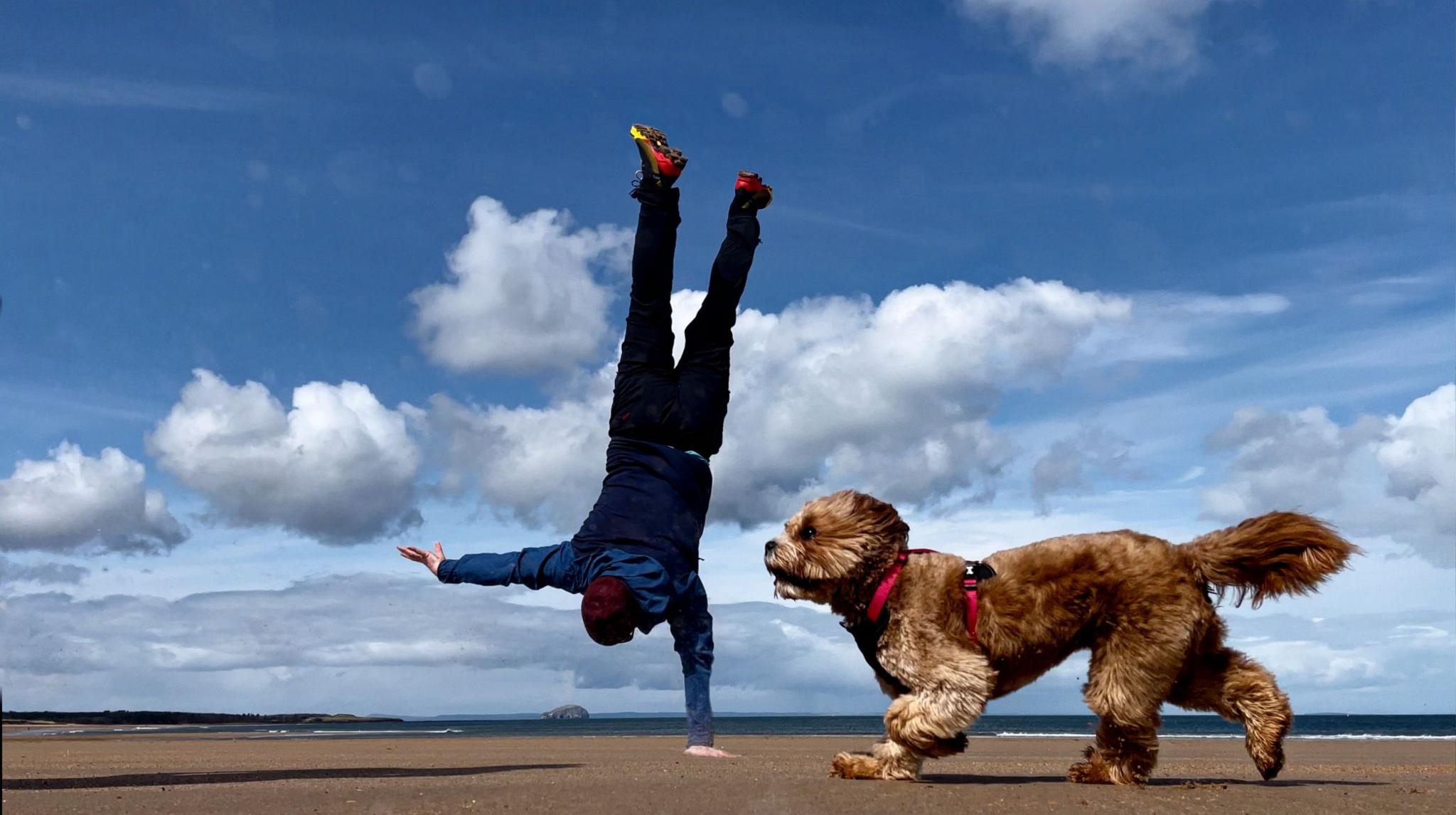 Your pictures of Scotland: 12 - 19 April - BBC News