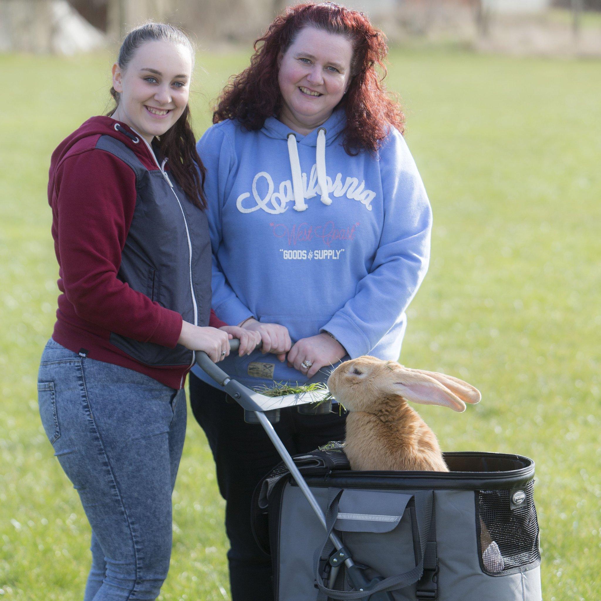 Atlas the giant rabbit gets a new home - BBC Newsround