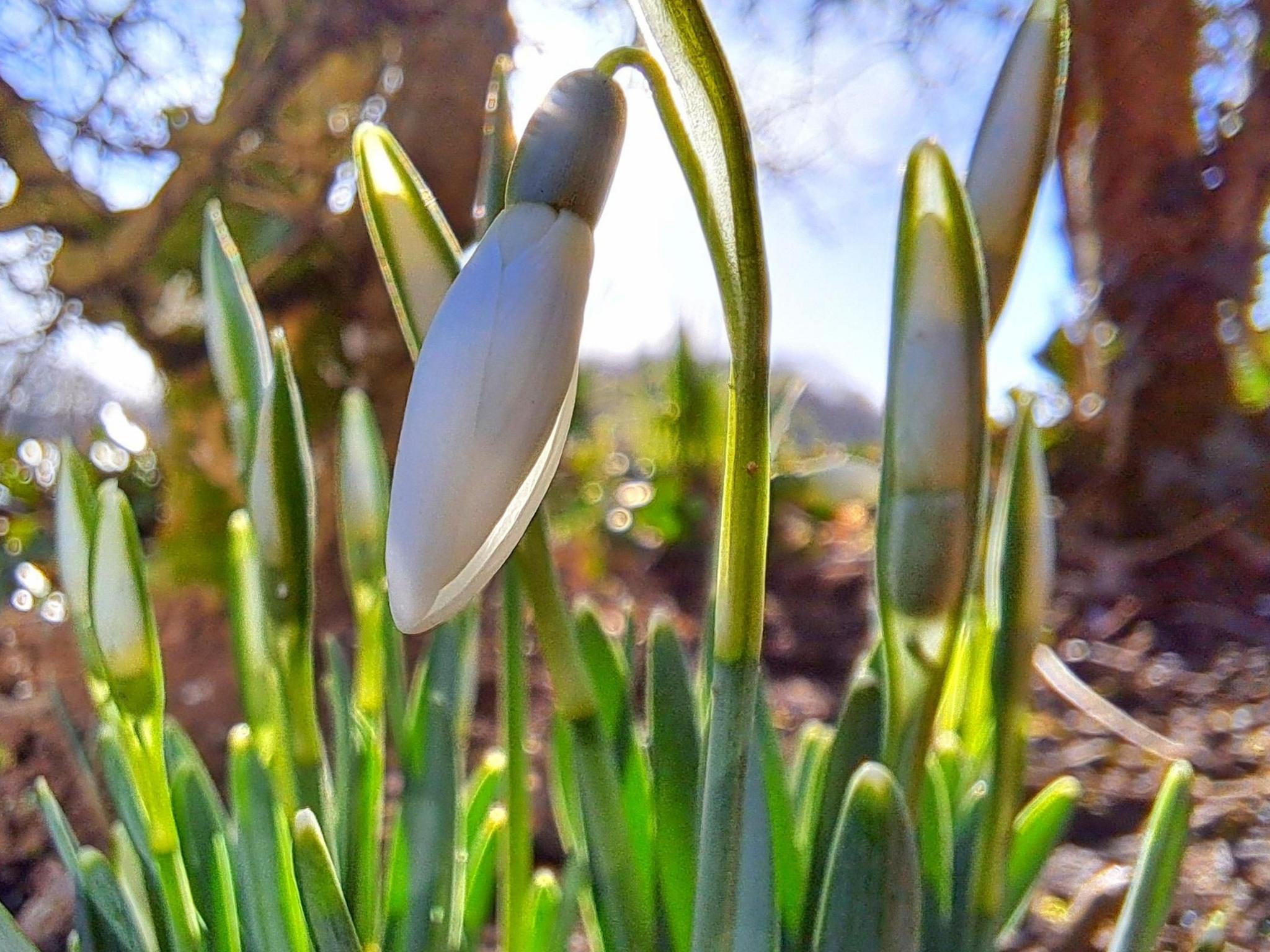Your photos from the West Midlands: Birds, wet dogs and sunshine - BBC News