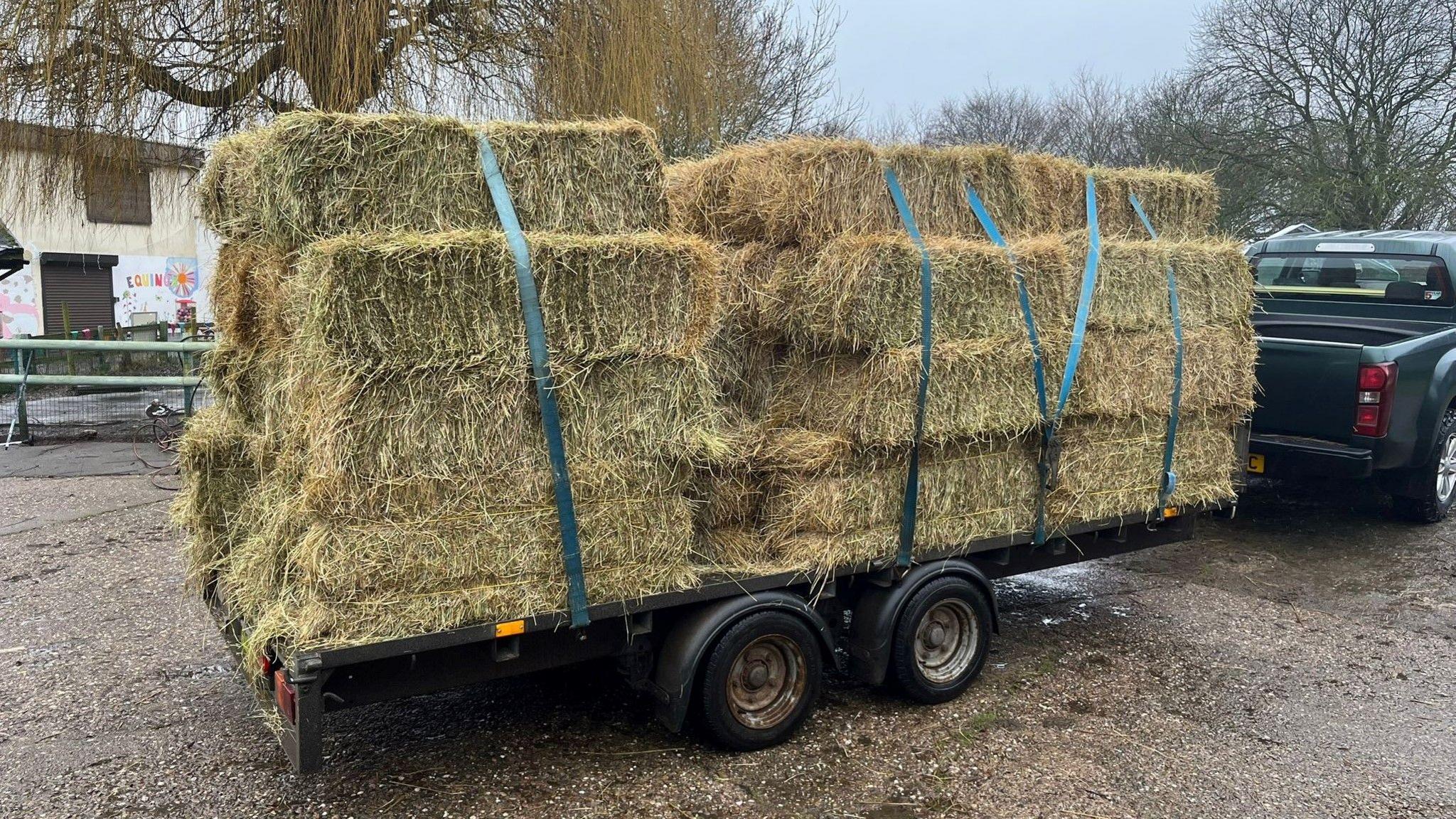 Hay donations are 'incredible', says at-risk Gorse Hill City Farm - BBC ...